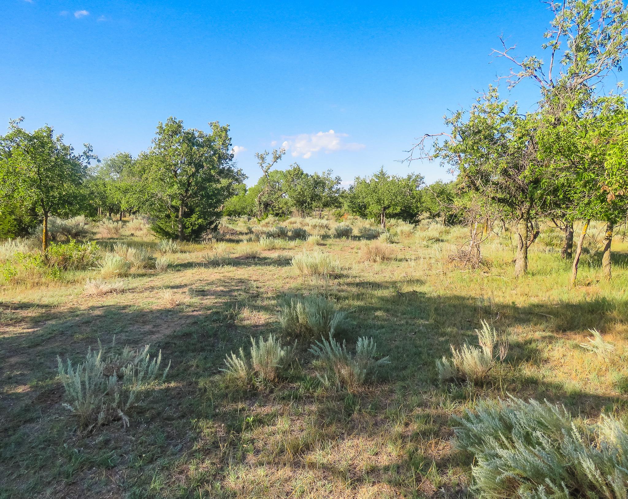 Diamond A Ranch | Chas S. Middleton