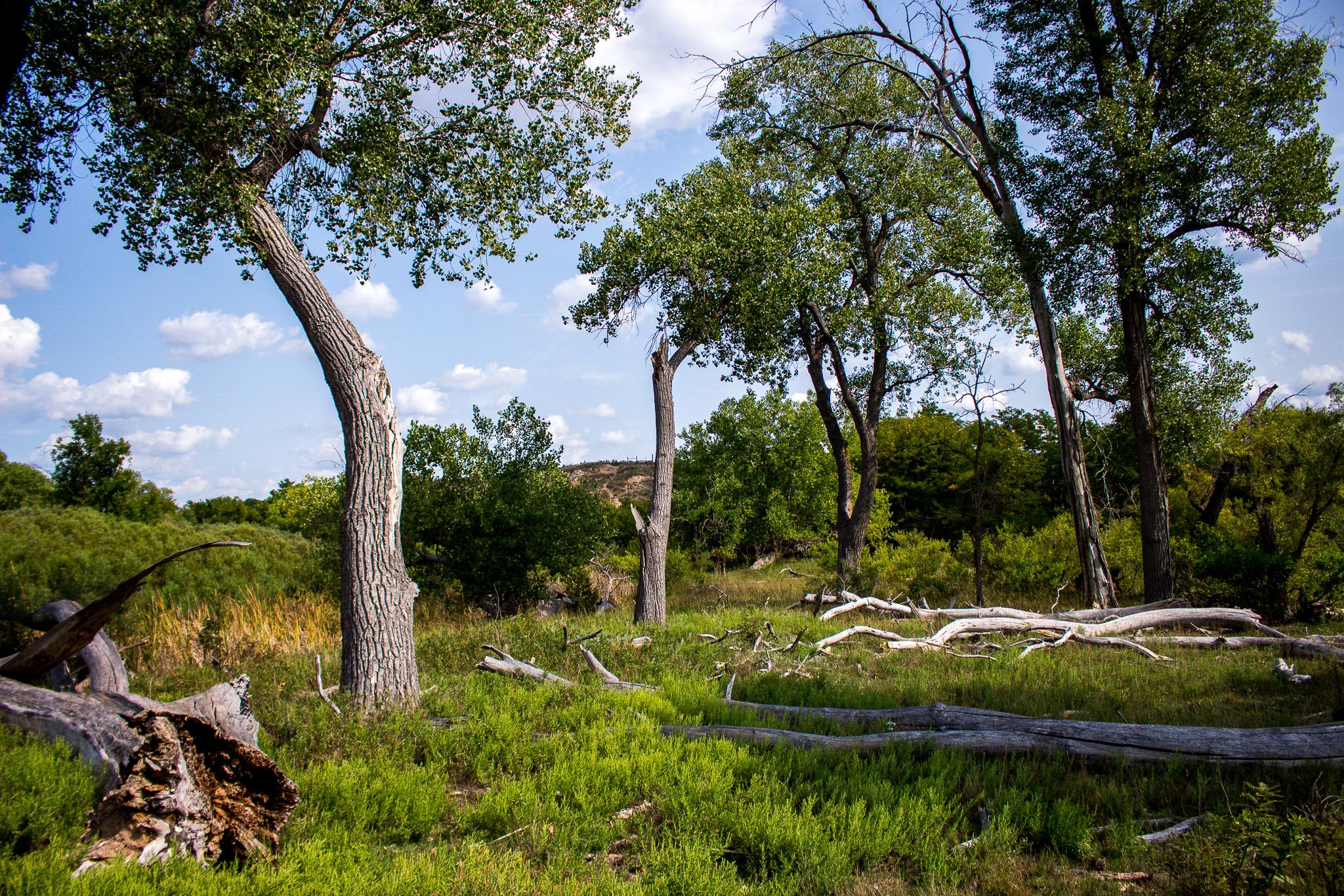Mobeetie Sweetwater Creek Ranch | Chas S. Middleton