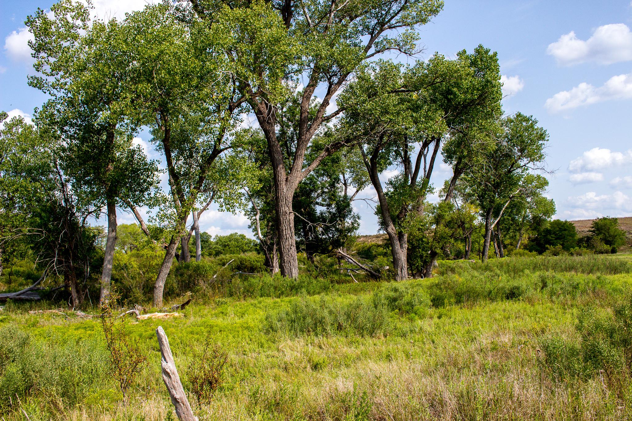 Mobeetie Sweetwater Creek Ranch | Chas S. Middleton
