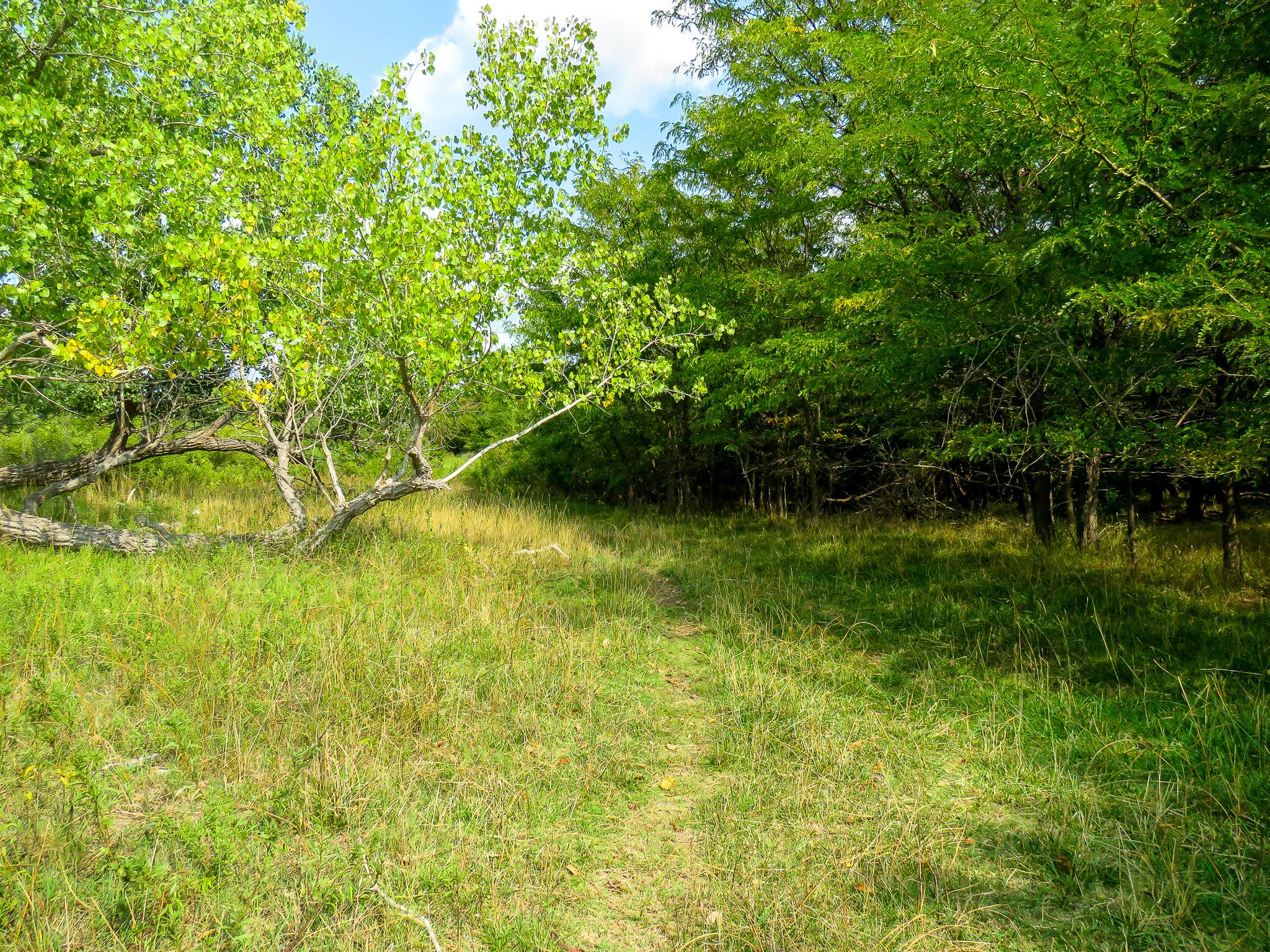 Mobeetie Sweetwater Creek Ranch | Chas S. Middleton