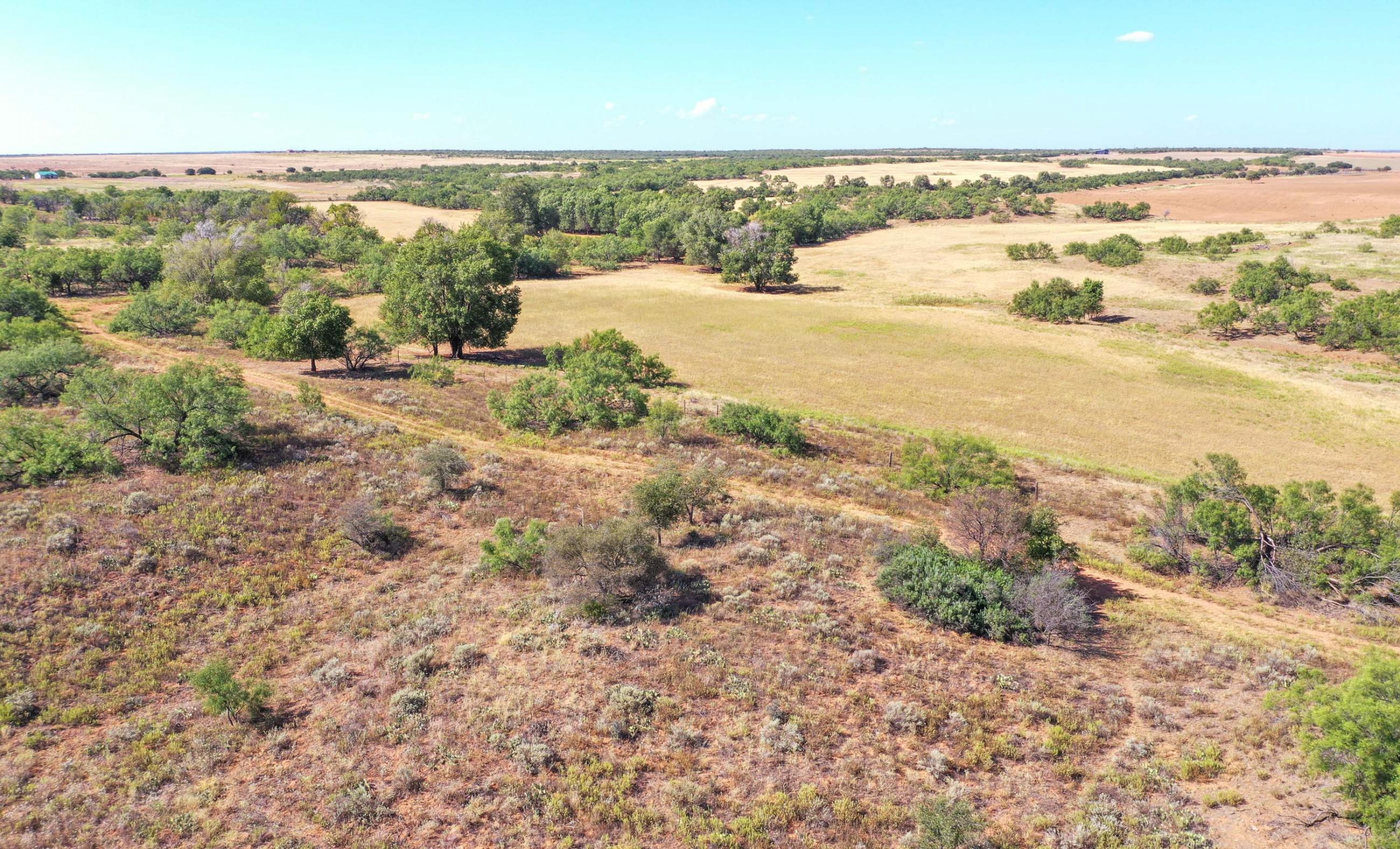 Clearview River Ranch | Chas S. Middleton