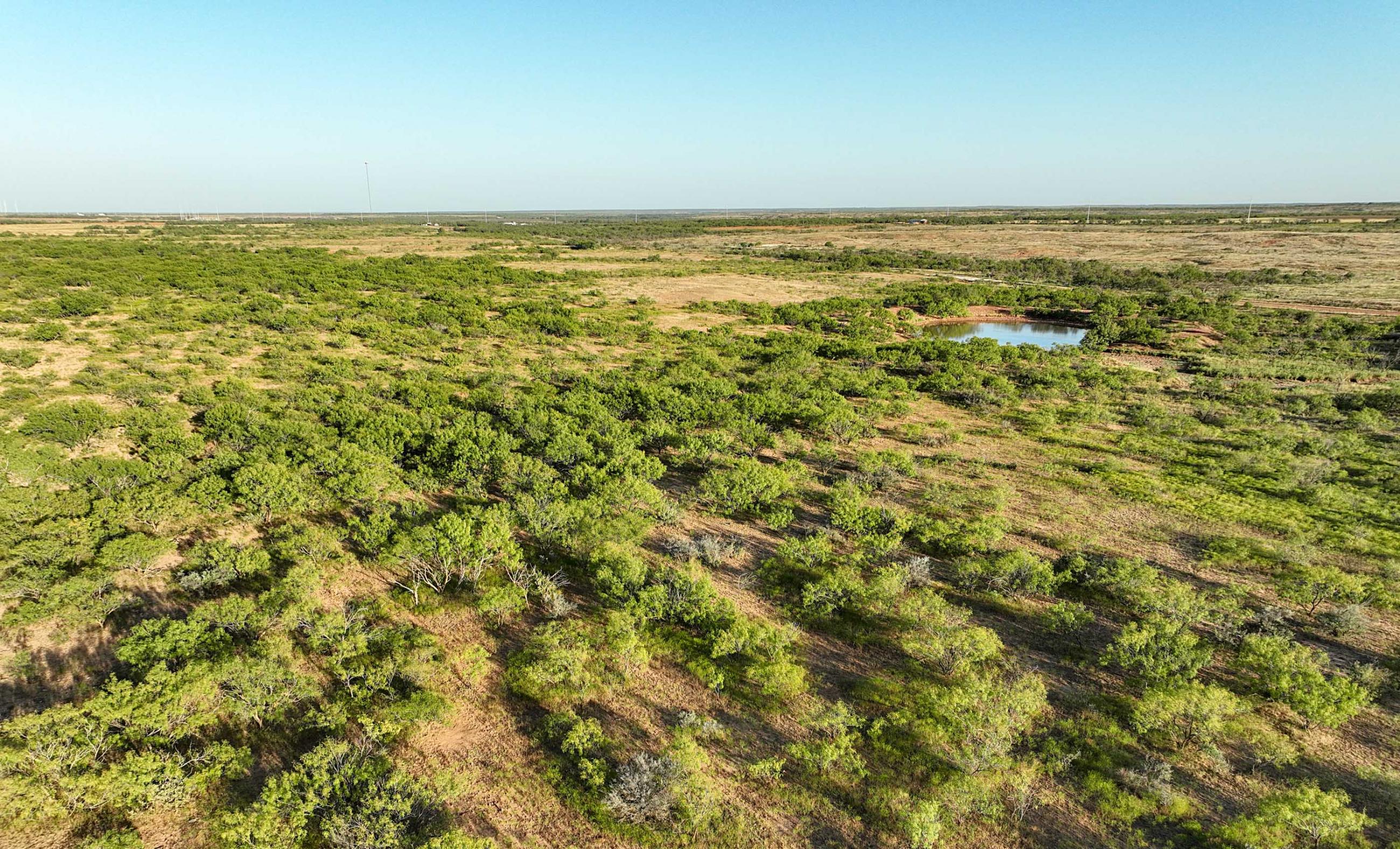 600± Acres in Baylor County | Chas S. Middleton