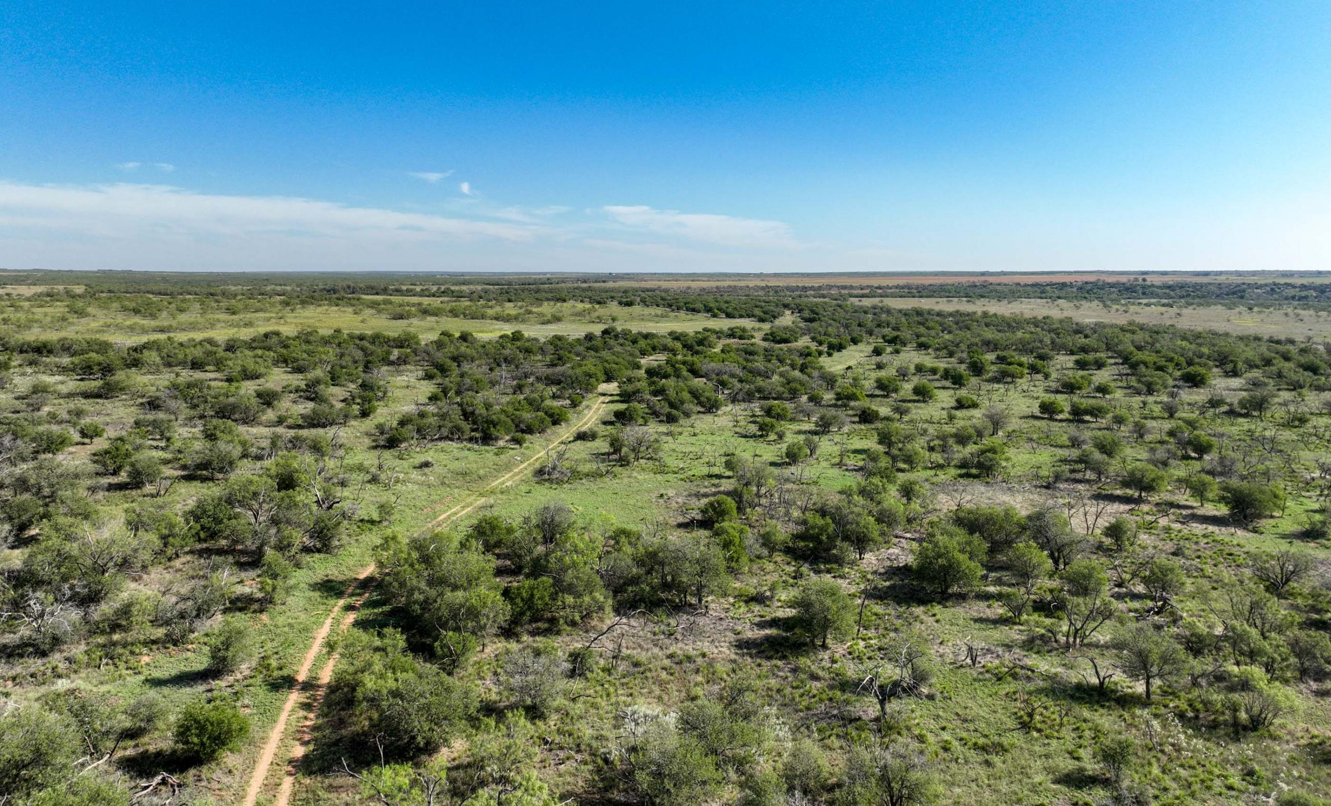 Bluebonnet Creek Ranch | Chas S. Middleton