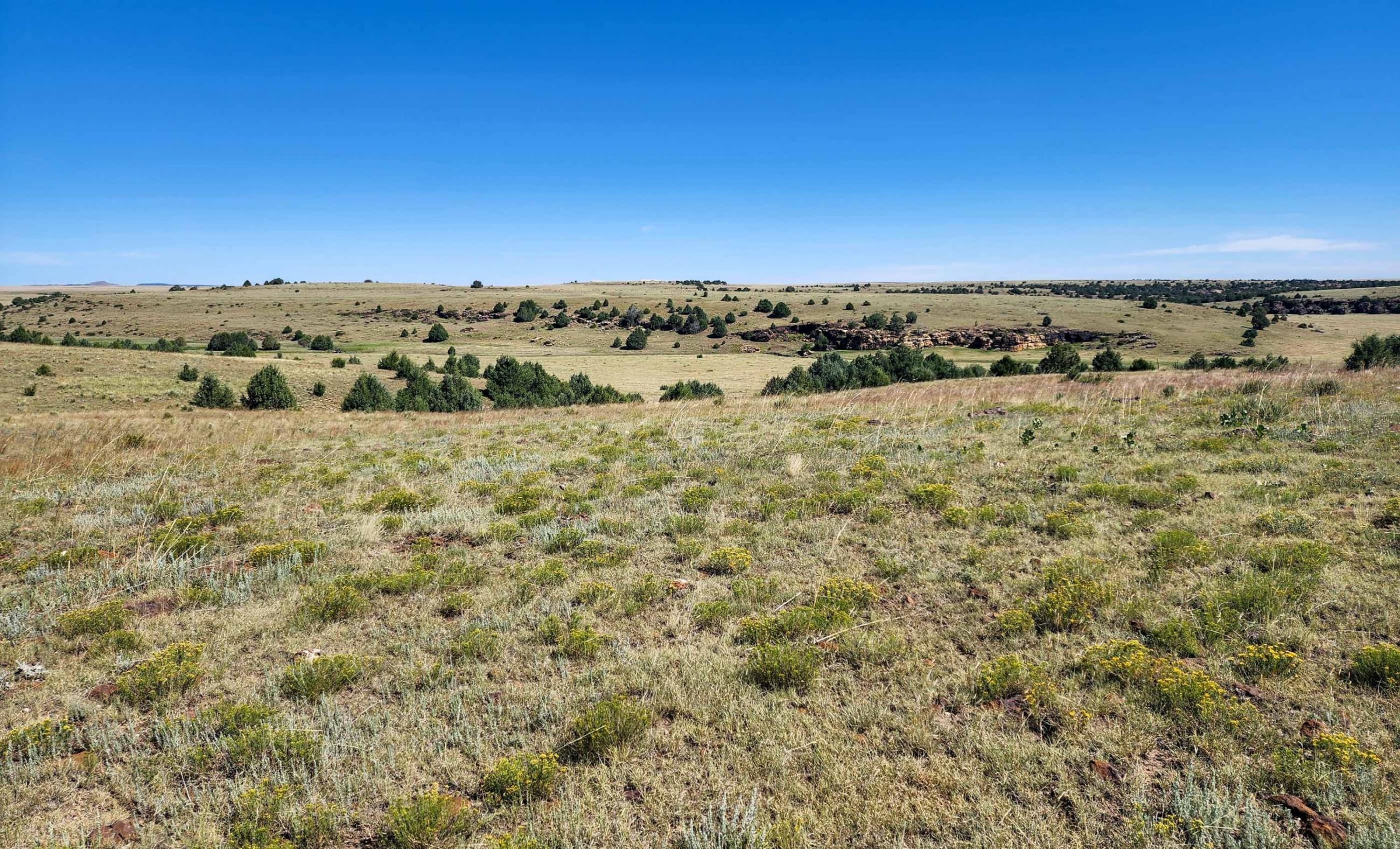 Hi Lo Springs Ranch | Chas S. Middleton