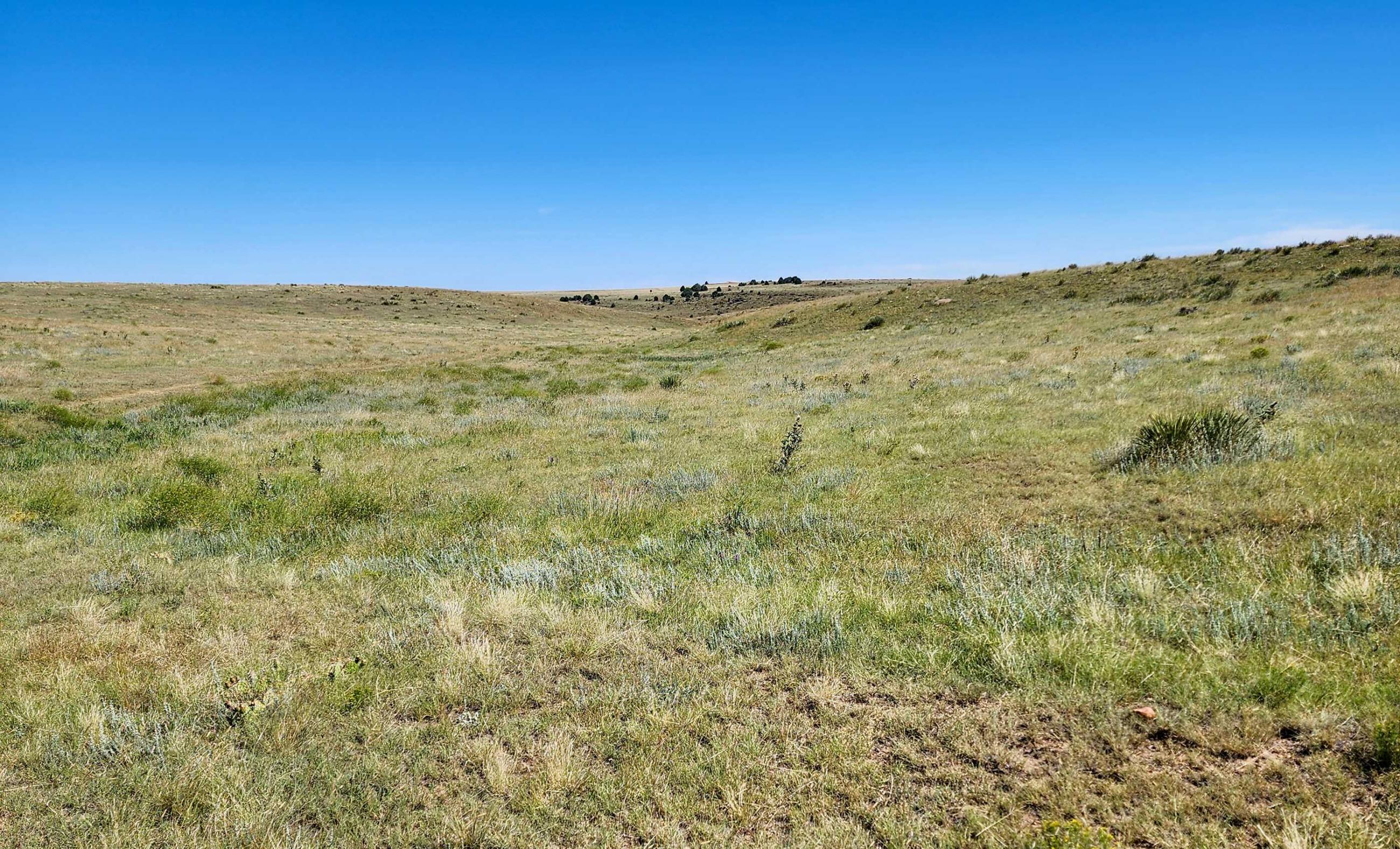 Hi Lo Springs Ranch | Chas S. Middleton
