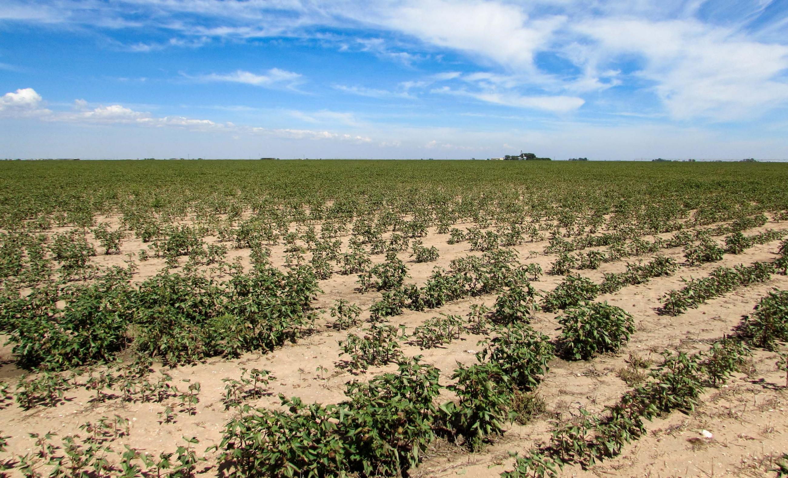 Progress Farm | Chas S. Middleton