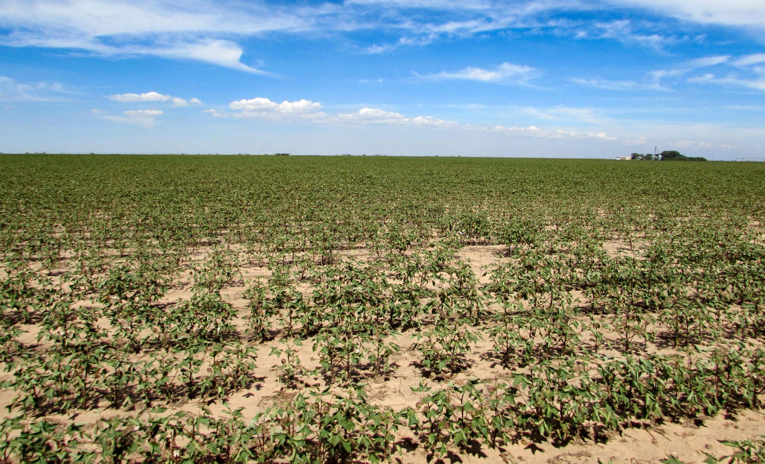 Progress Farm | Chas S. Middleton