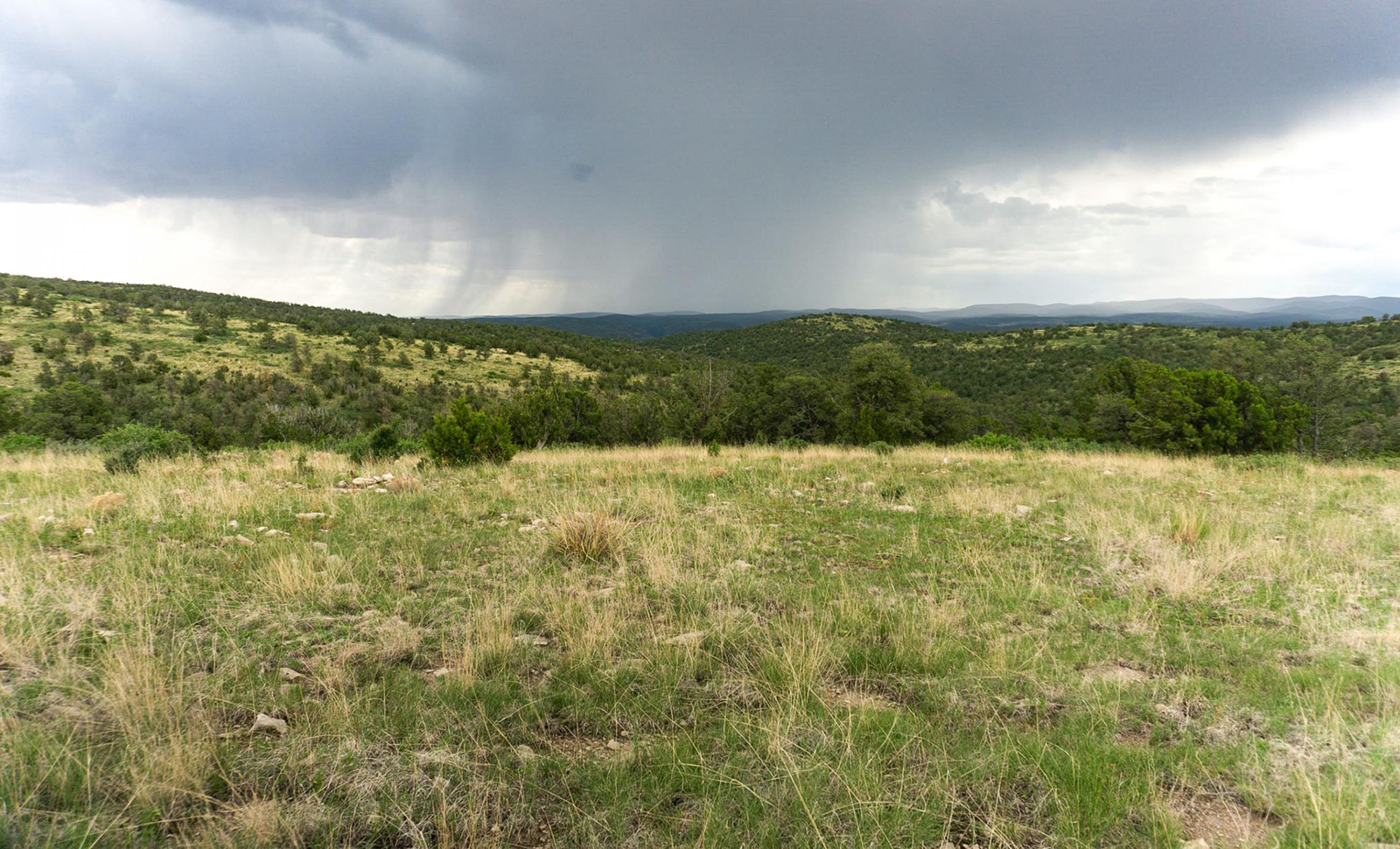 "Historic" Coe Ranch | Chas S. Middleton