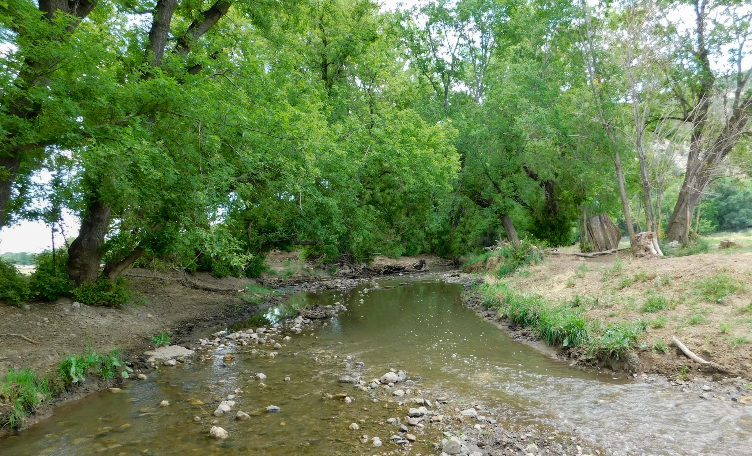 "Historic" Coe Ranch | Chas S. Middleton