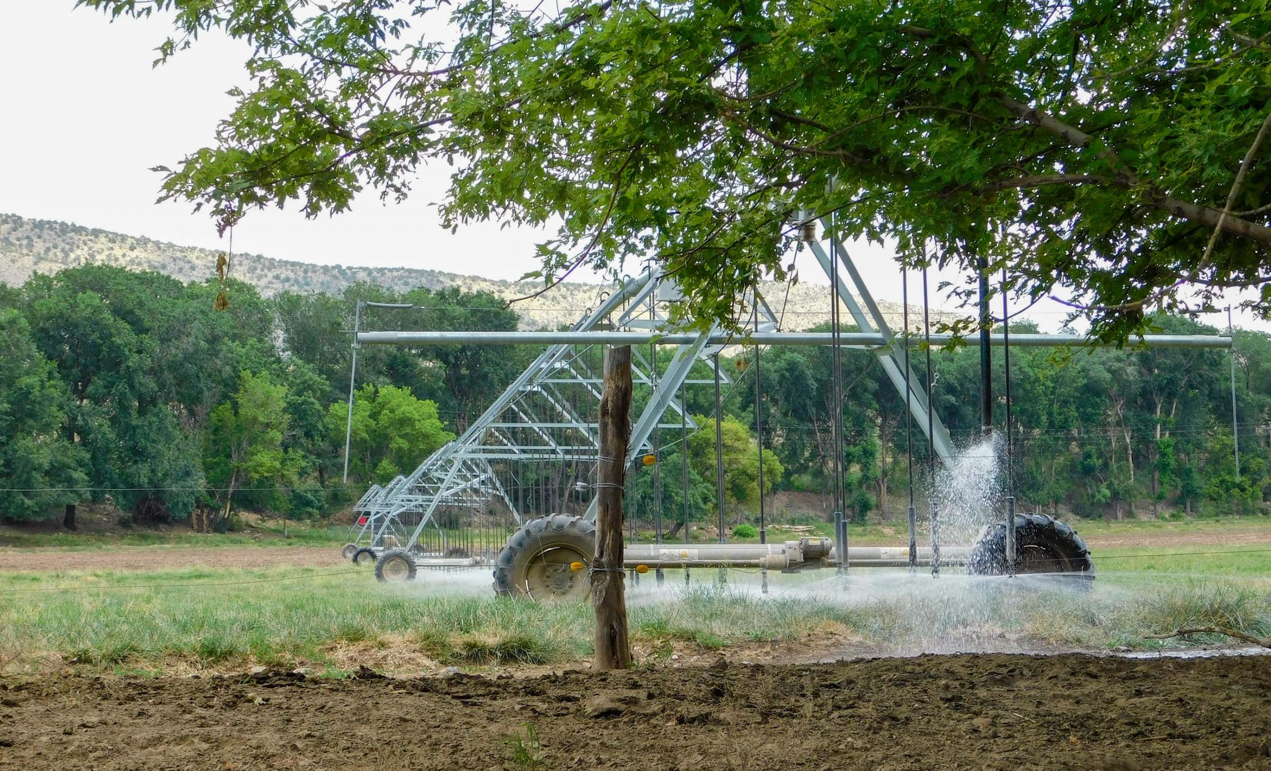 "Historic" Coe Ranch | Chas S. Middleton