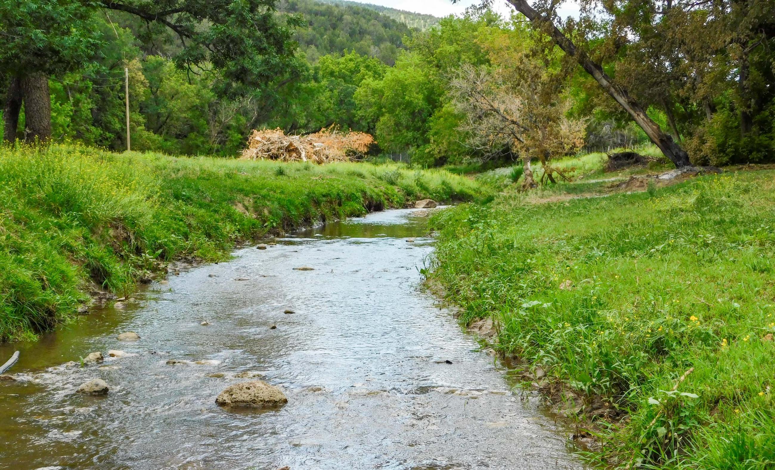 "Historic" Coe Ranch | Chas S. Middleton