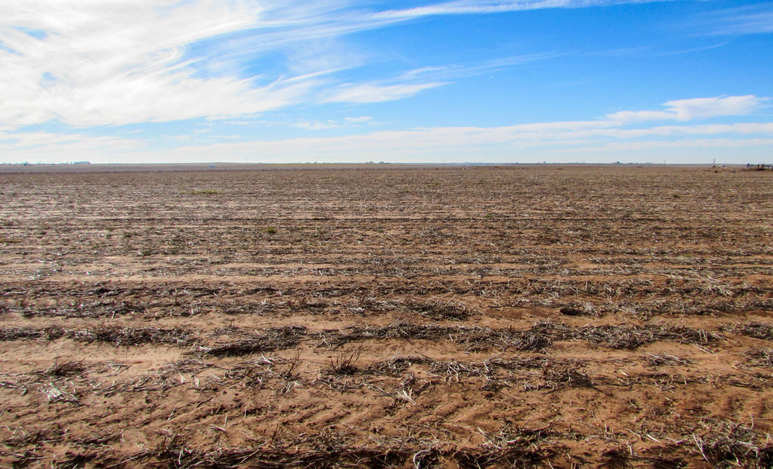 Robason Farm | Chas S. Middleton