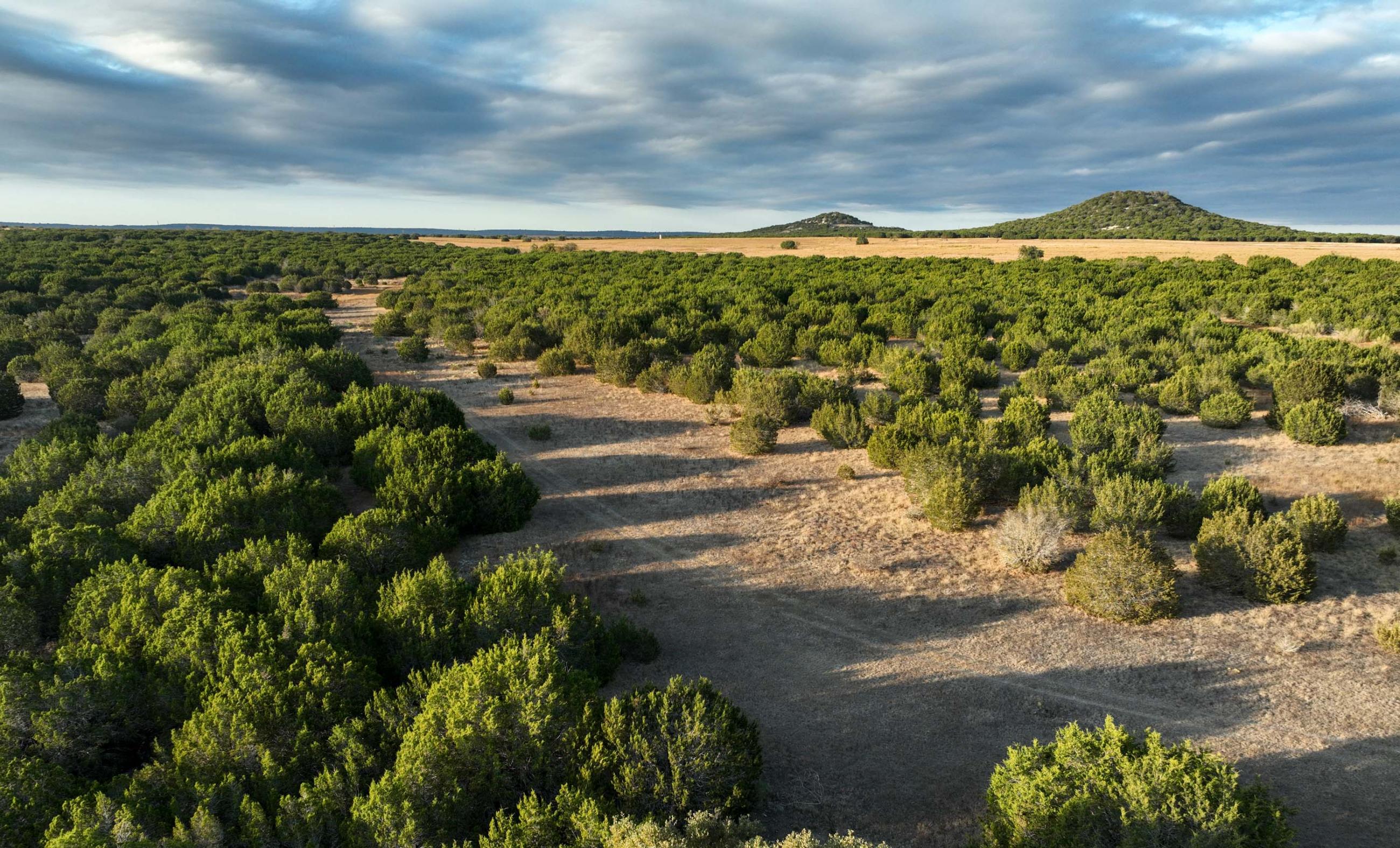 Tooley Ranch | Chas S. Middleton