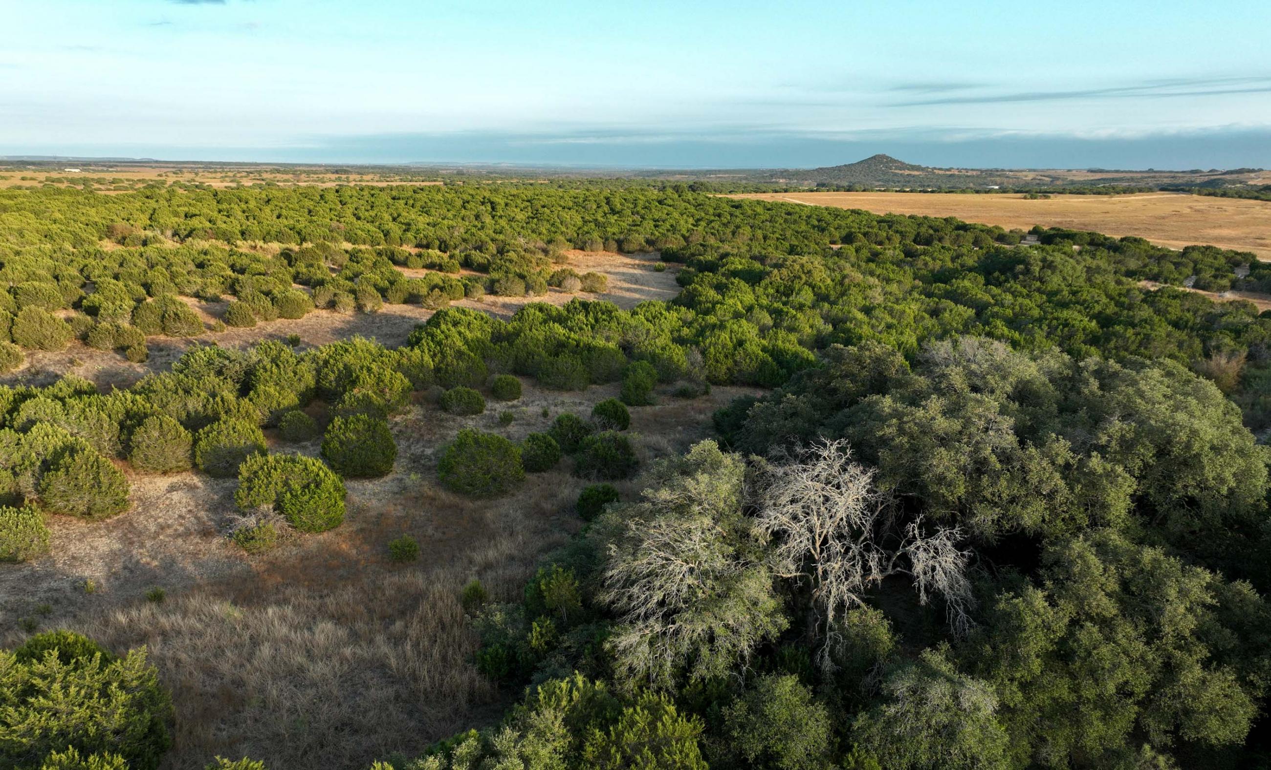 Tooley Ranch | Chas S. Middleton