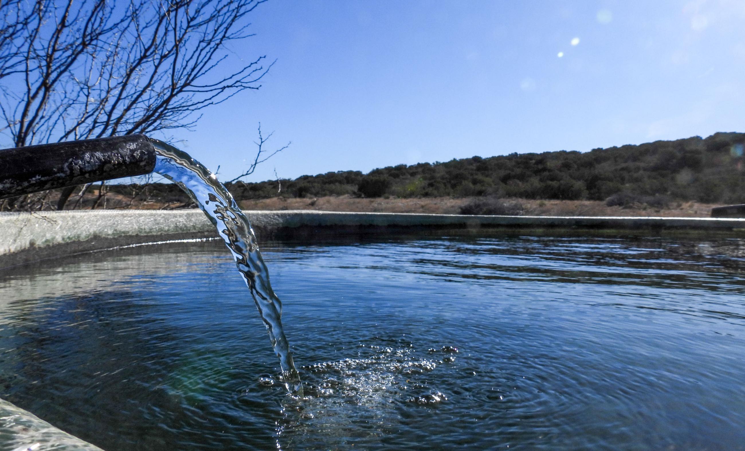 Arledge Family Ranch | Chas S. Middleton