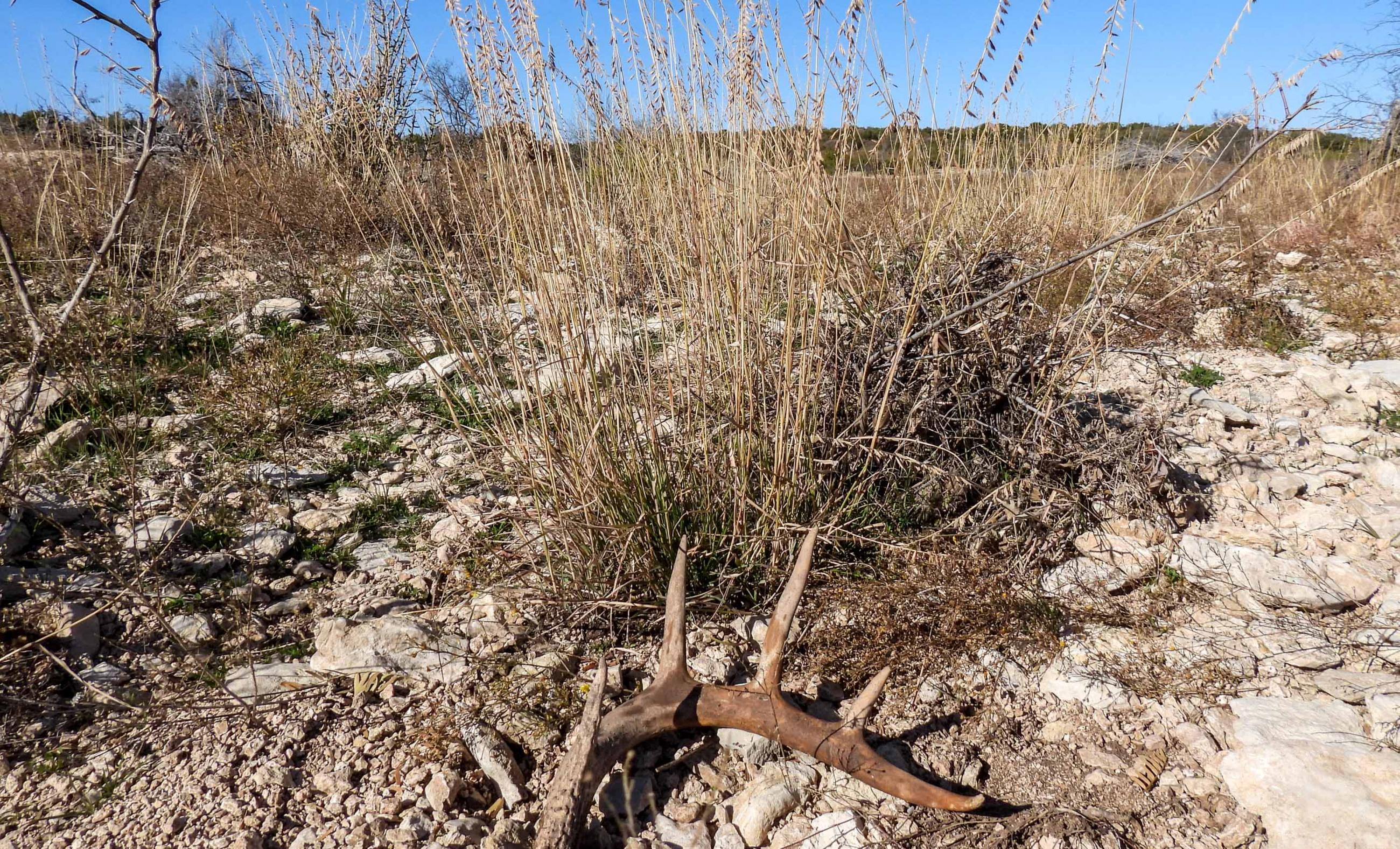 Arledge Family Ranch | Chas S. Middleton