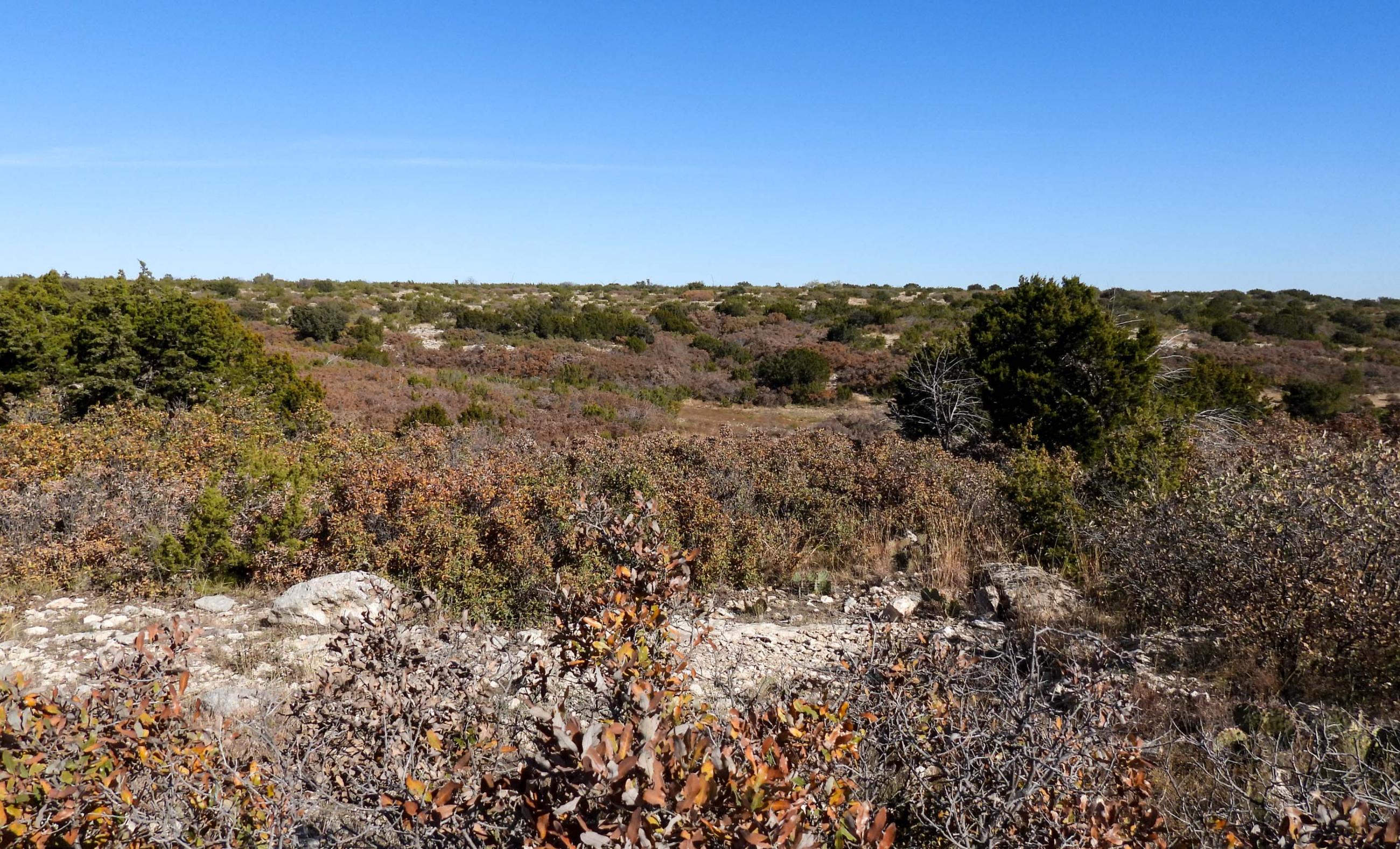 Arledge Family Ranch | Chas S. Middleton