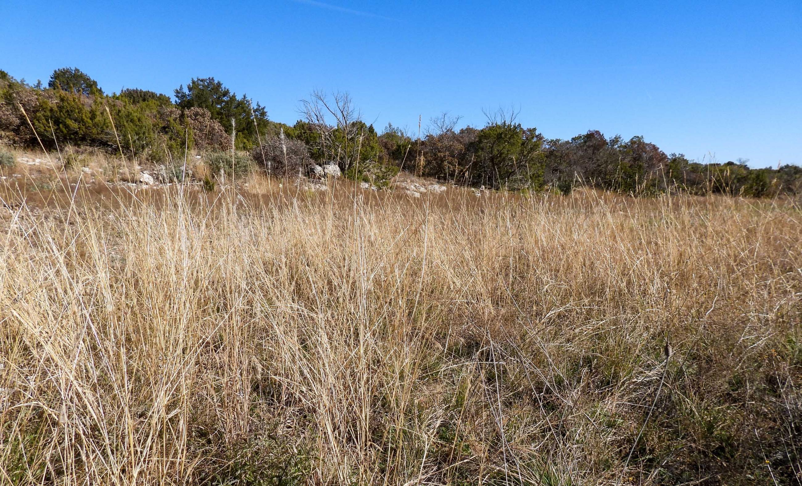 Arledge Family Ranch | Chas S. Middleton