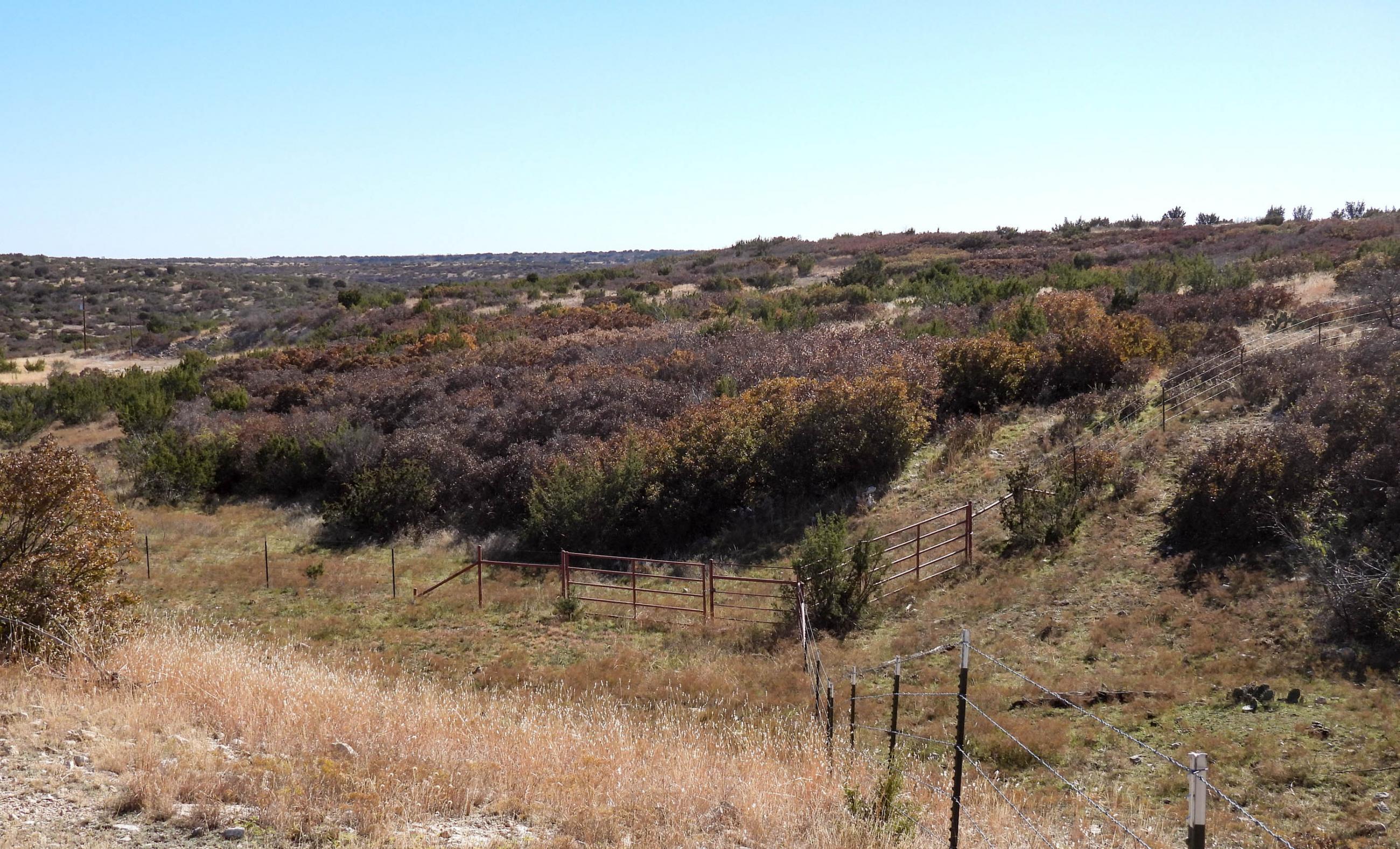 Arledge Family Ranch | Chas S. Middleton