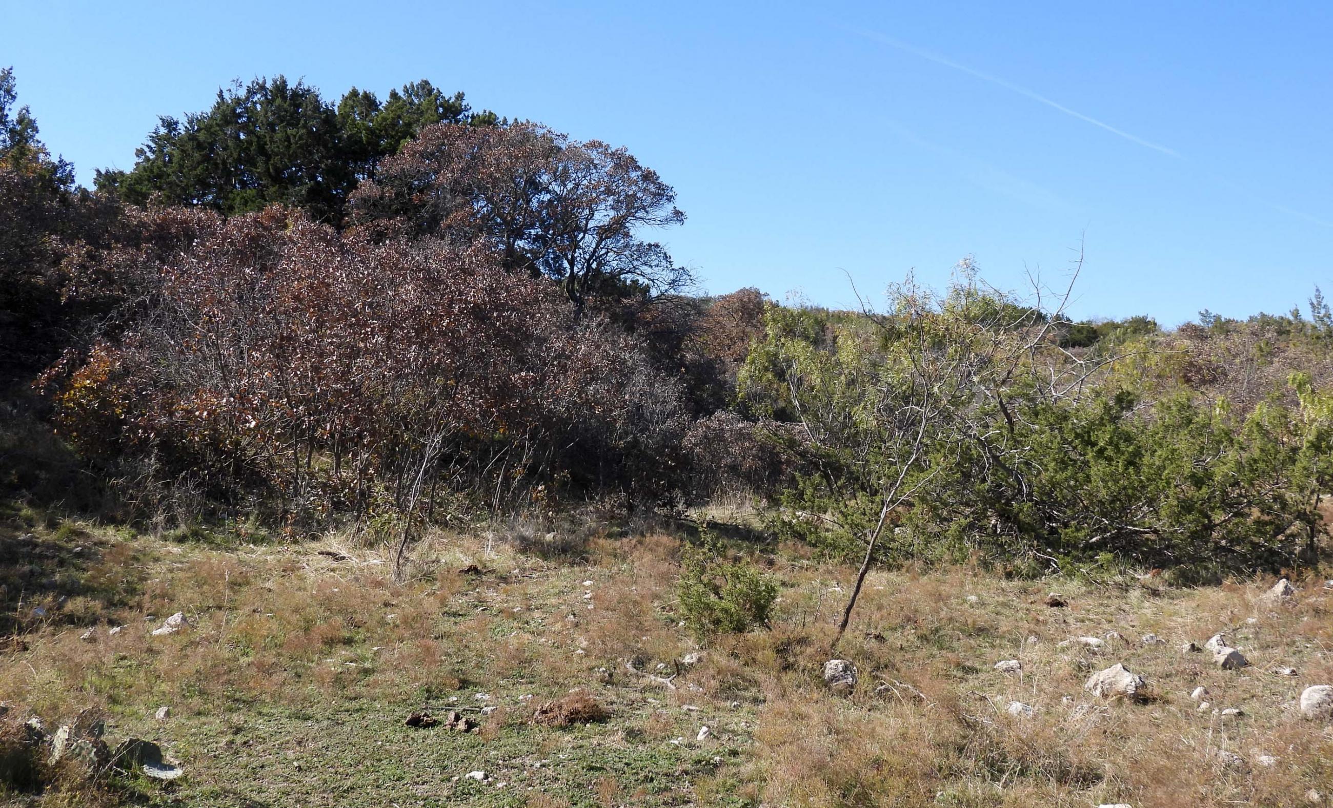 Arledge Family Ranch | Chas S. Middleton