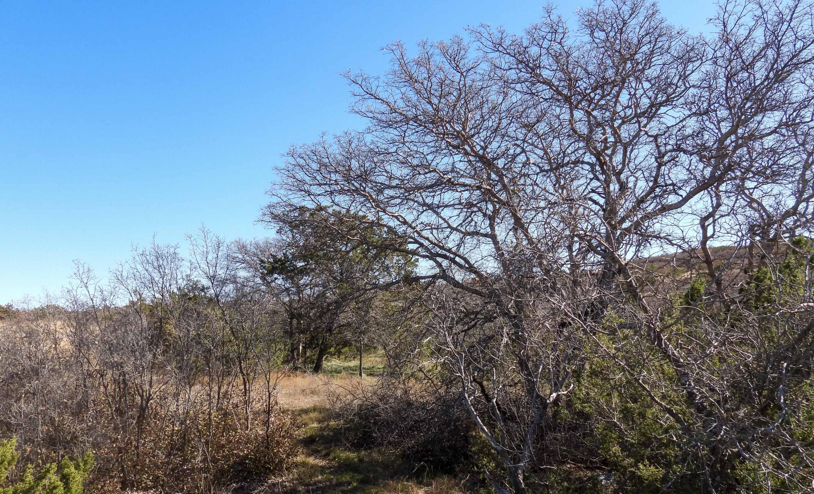 Arledge Family Ranch | Chas S. Middleton