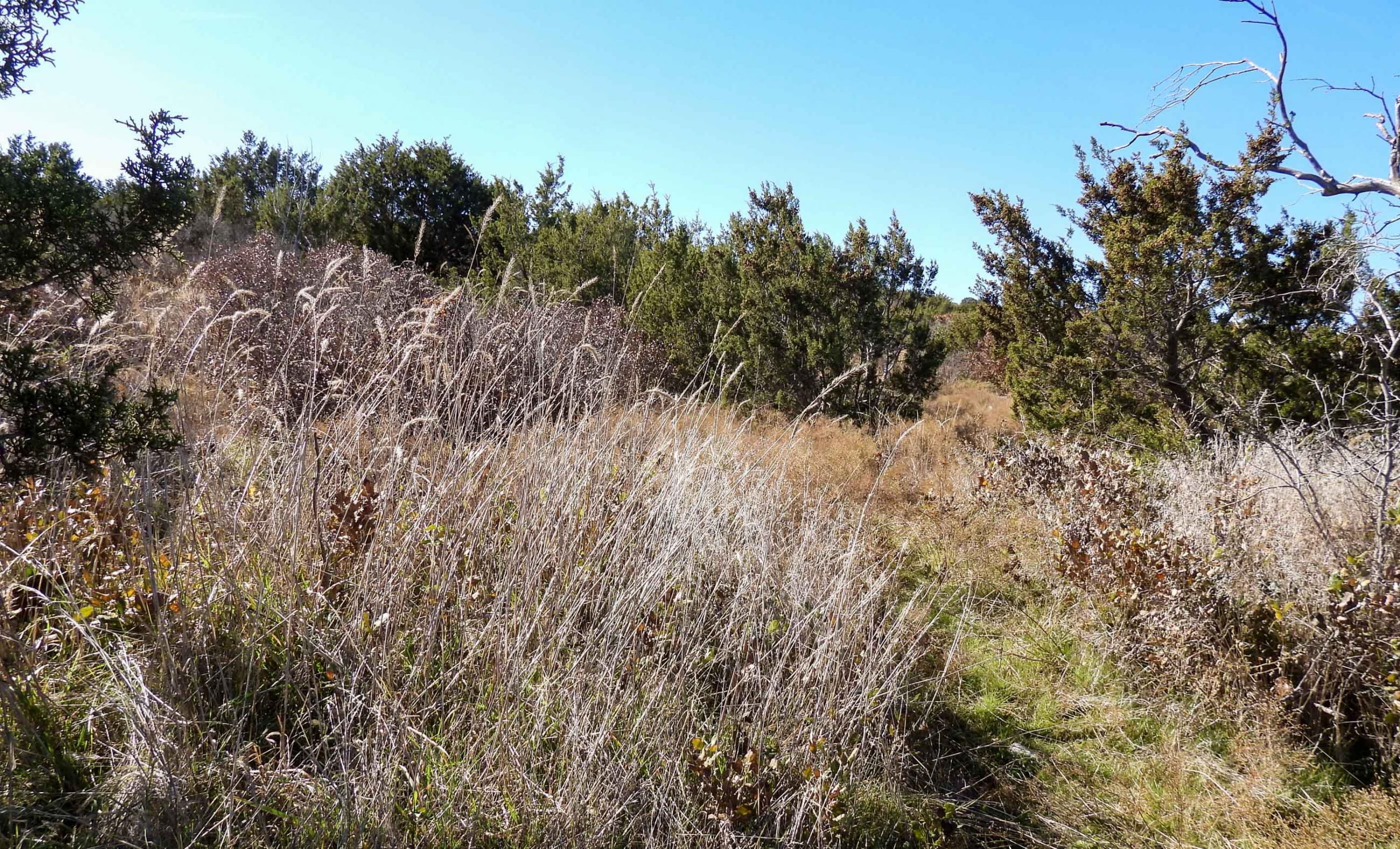 Arledge Family Ranch | Chas S. Middleton