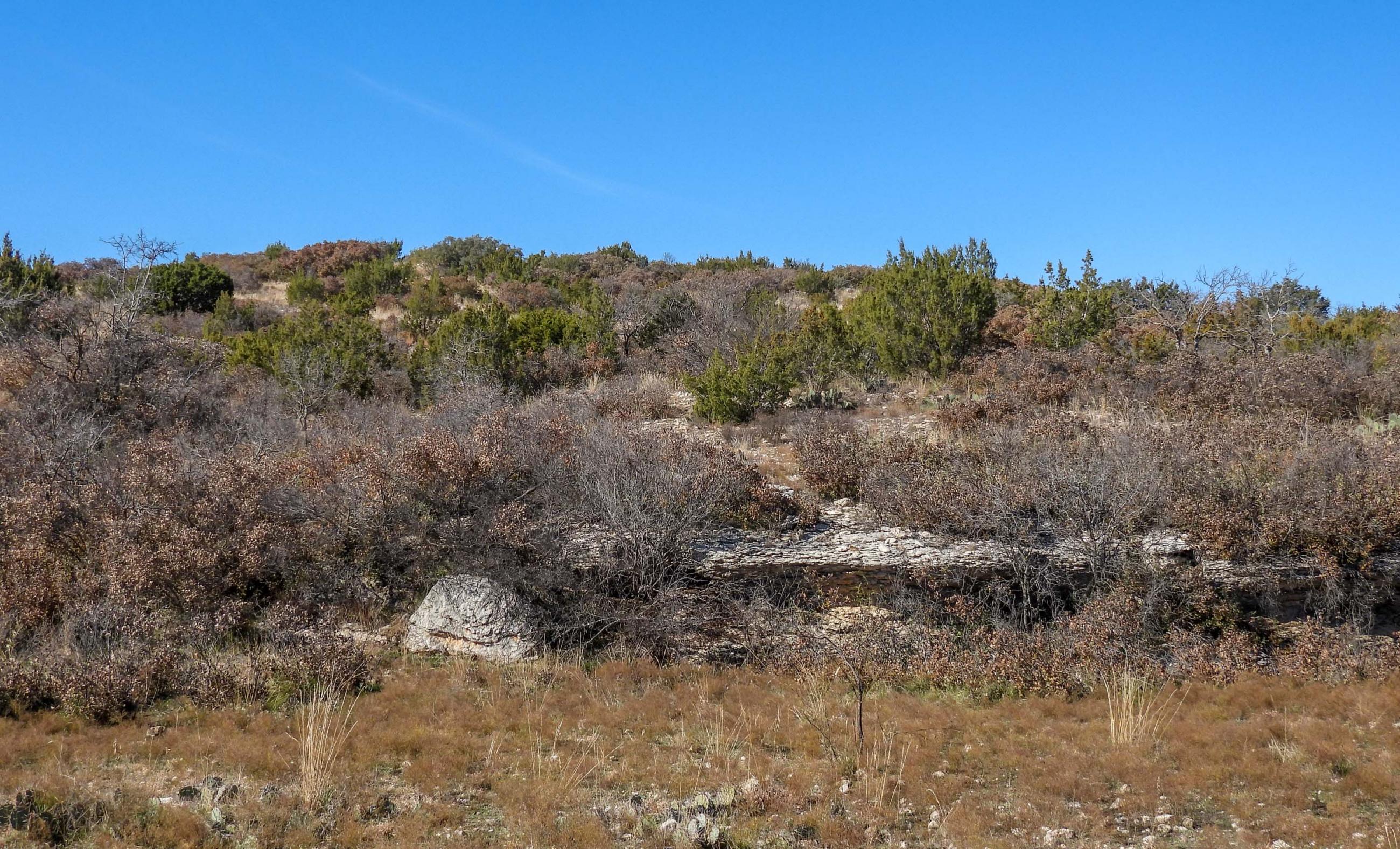 Arledge Family Ranch | Chas S. Middleton