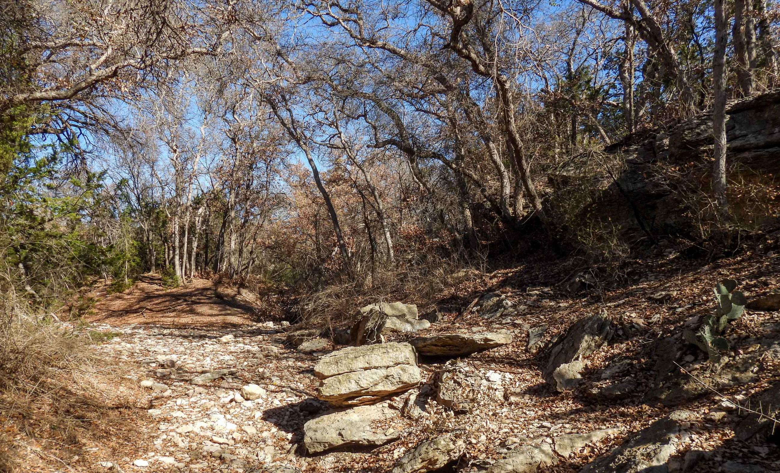 Arledge Family Ranch | Chas S. Middleton