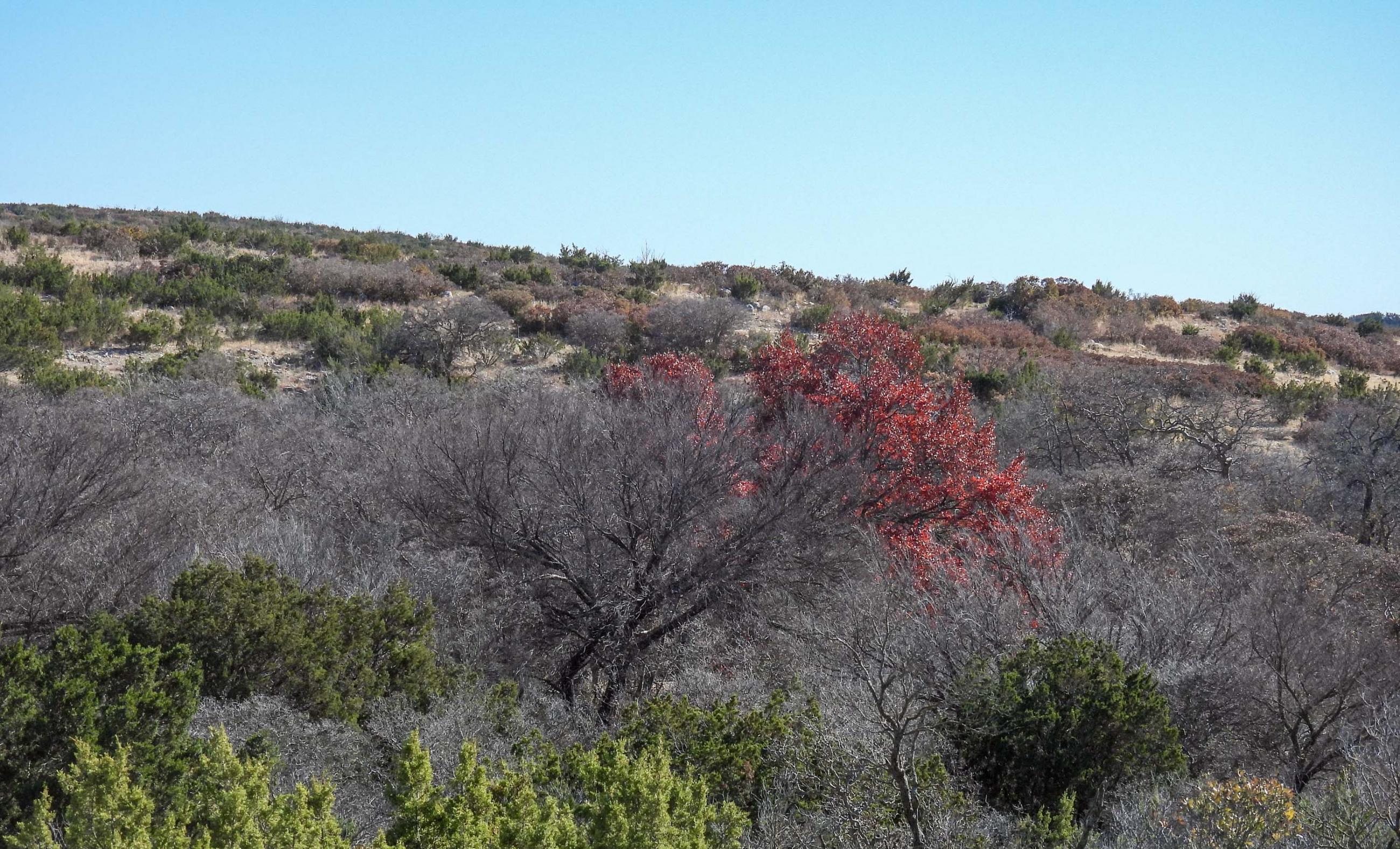 Arledge Family Ranch | Chas S. Middleton