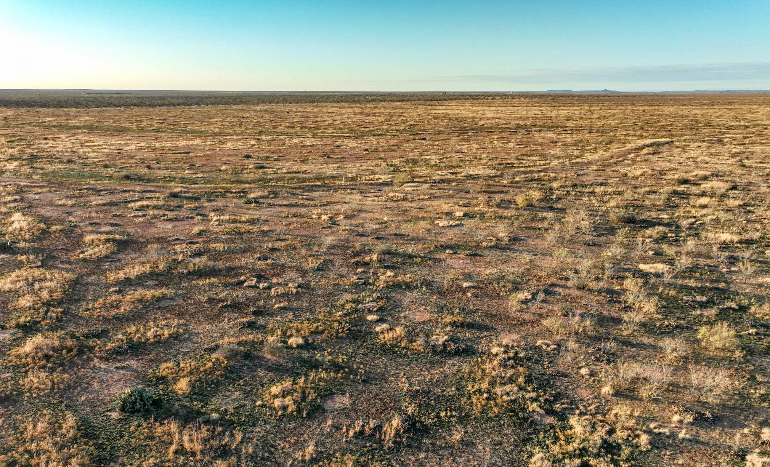 Wolf Ranch | Chas S. Middleton