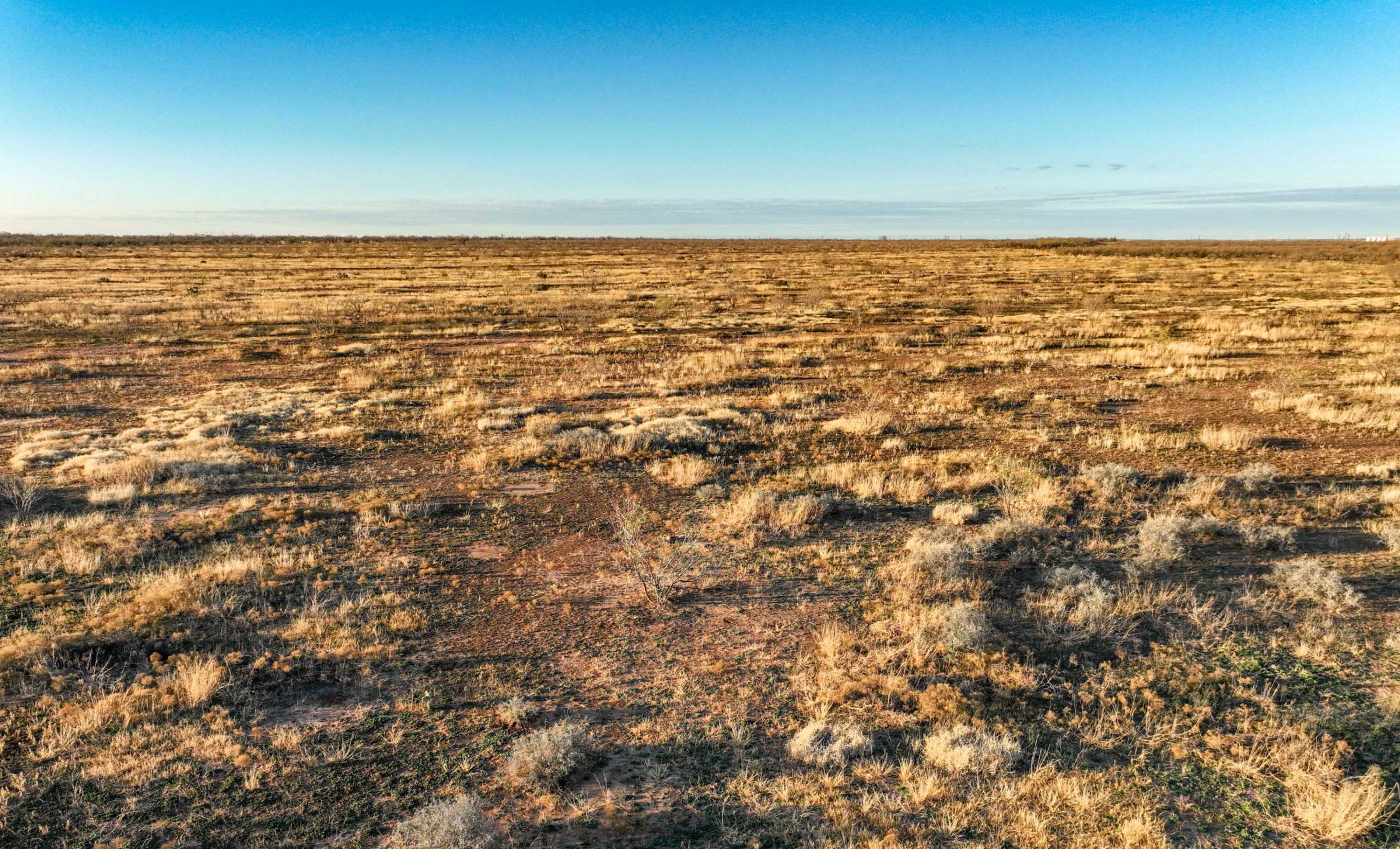 Wolf Ranch | Chas S. Middleton