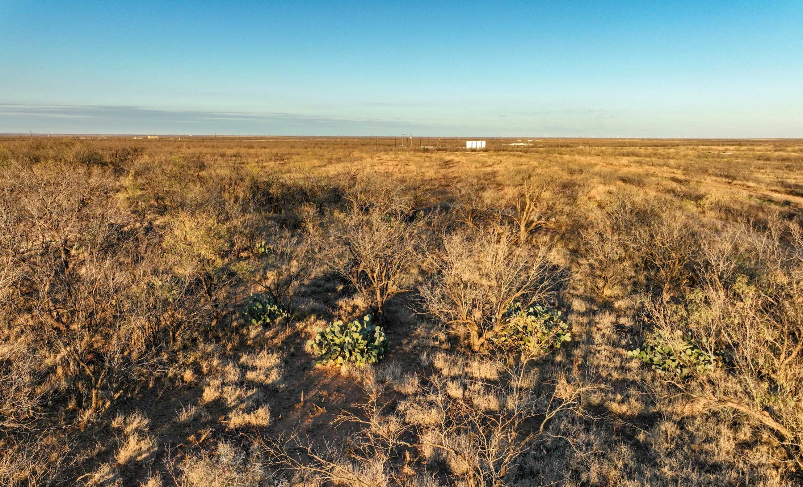Wolf Ranch | Chas S. Middleton