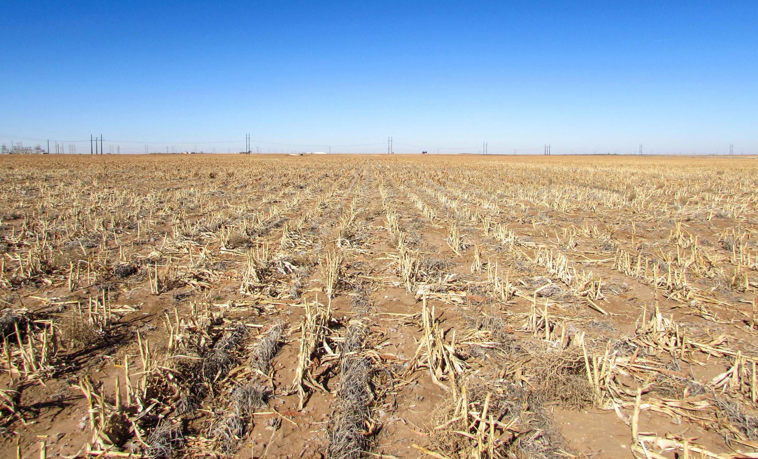 King Farm | Chas S. Middleton