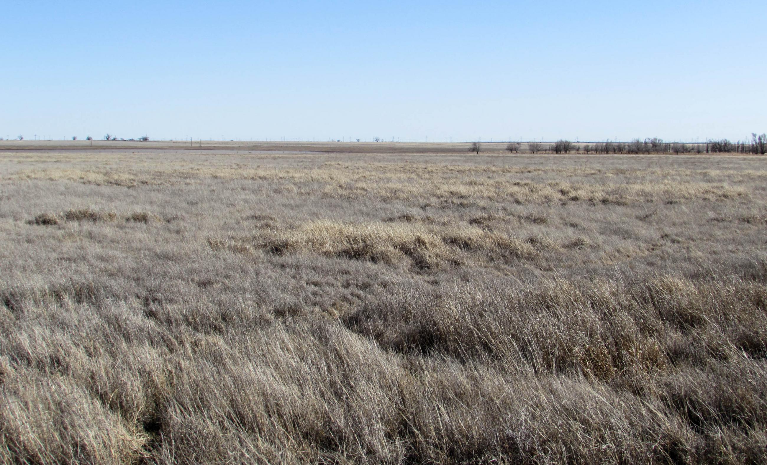 Smith Farm | Chas S. Middleton