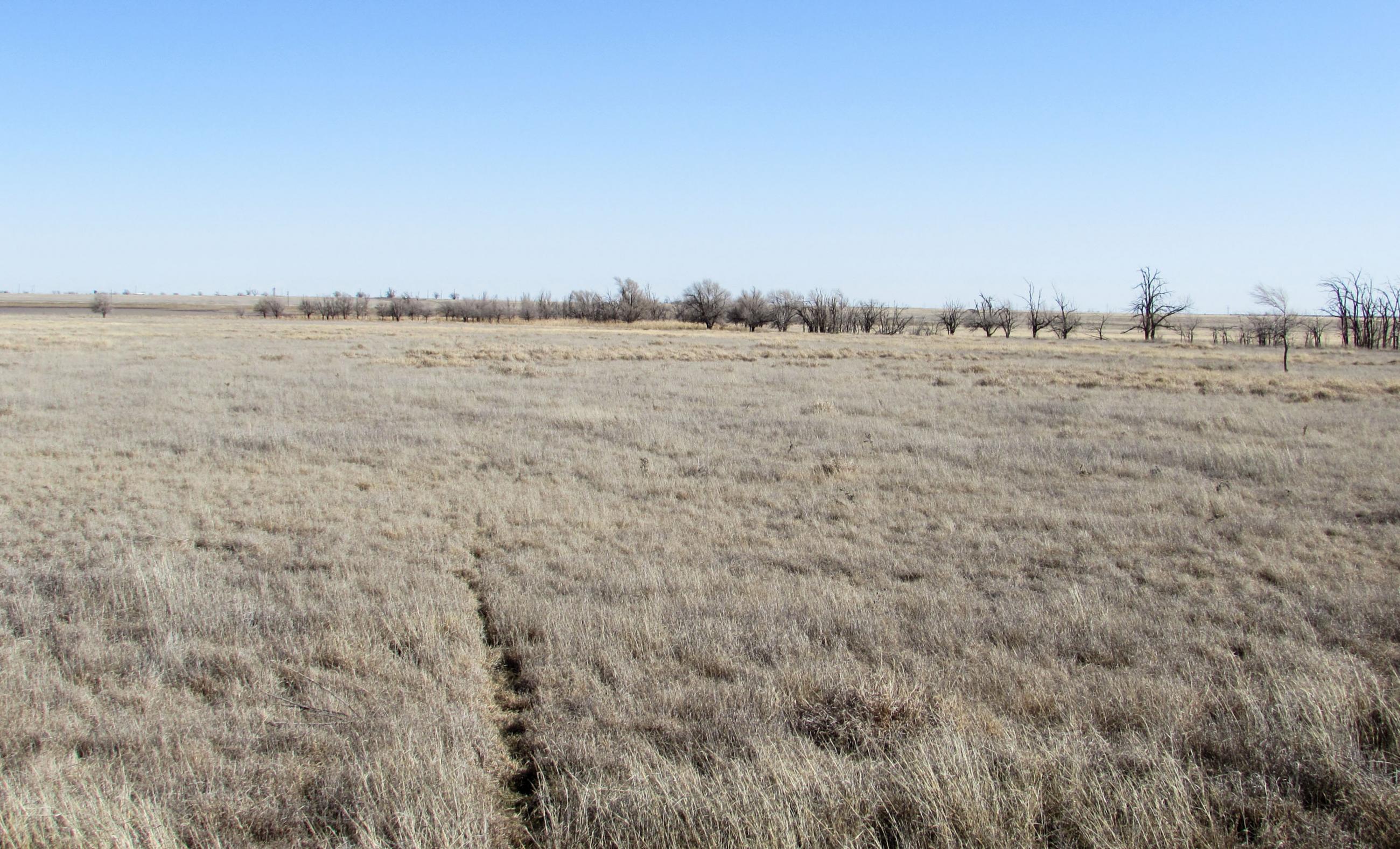 Smith Farm | Chas S. Middleton