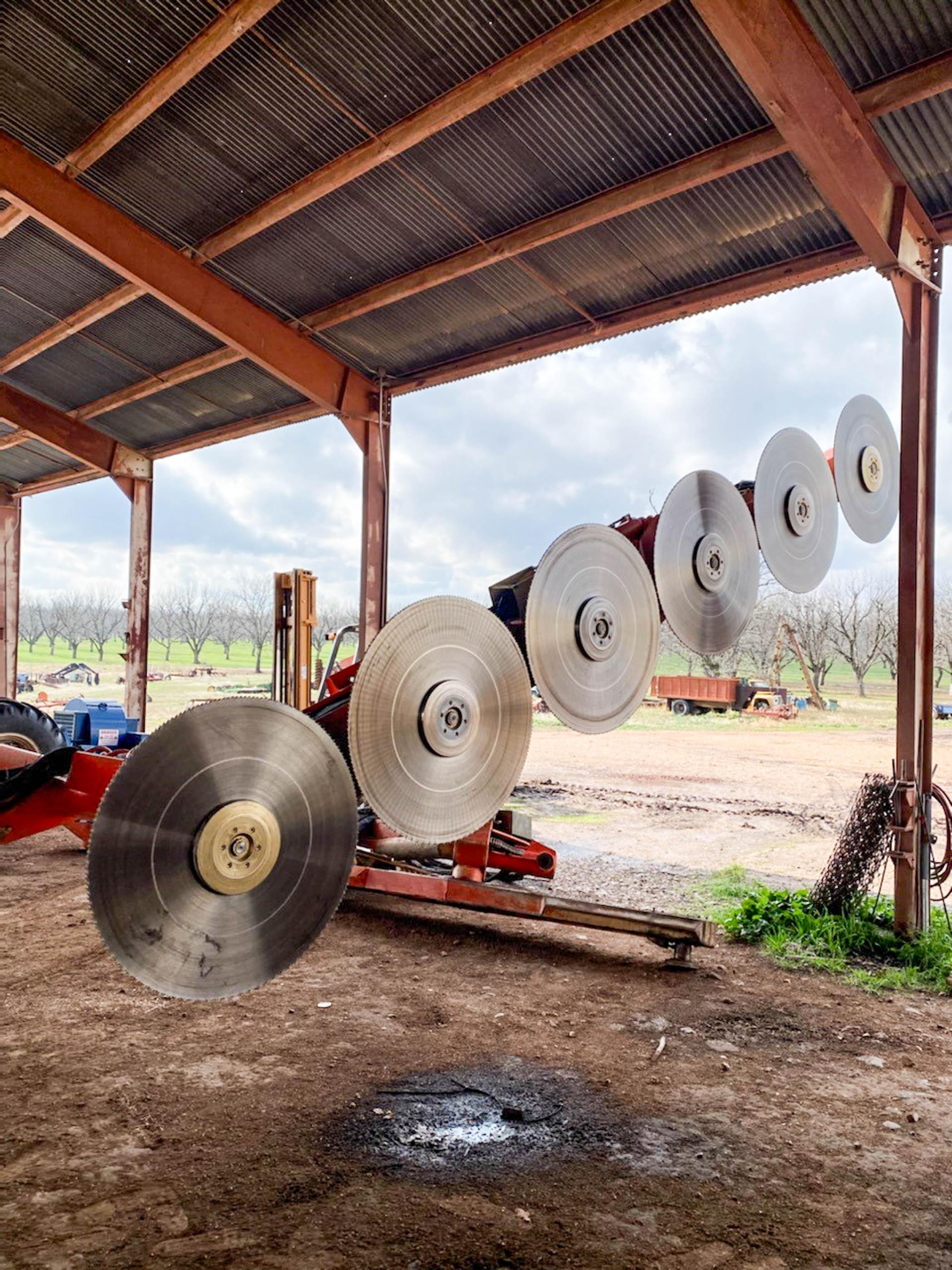 Big Valley Pecan Farm | Goldthwaite, TX | Chas. S. Middleton