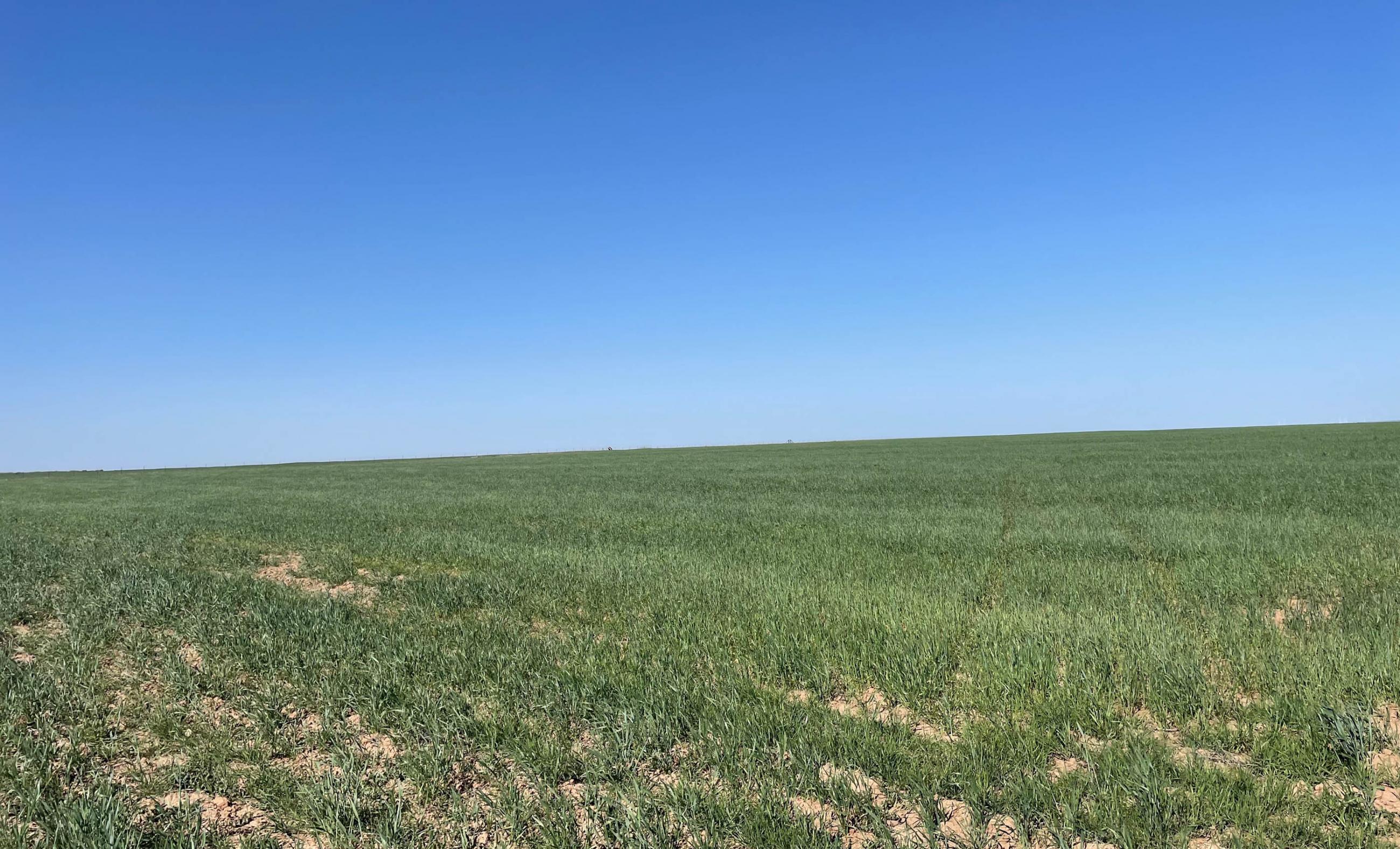 Judd Ranch | Chas S. Middleton