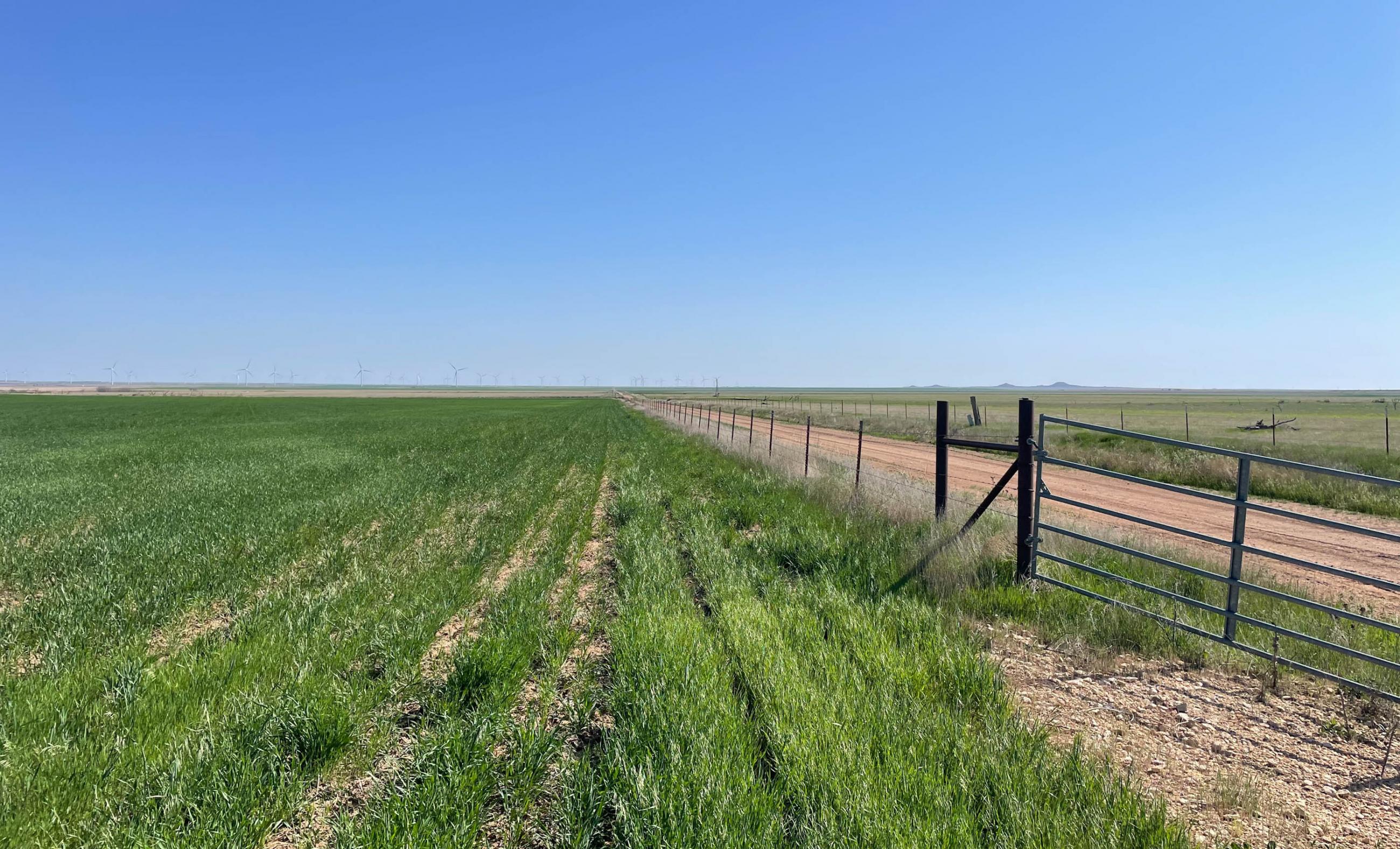 Judd Ranch | Chas S. Middleton