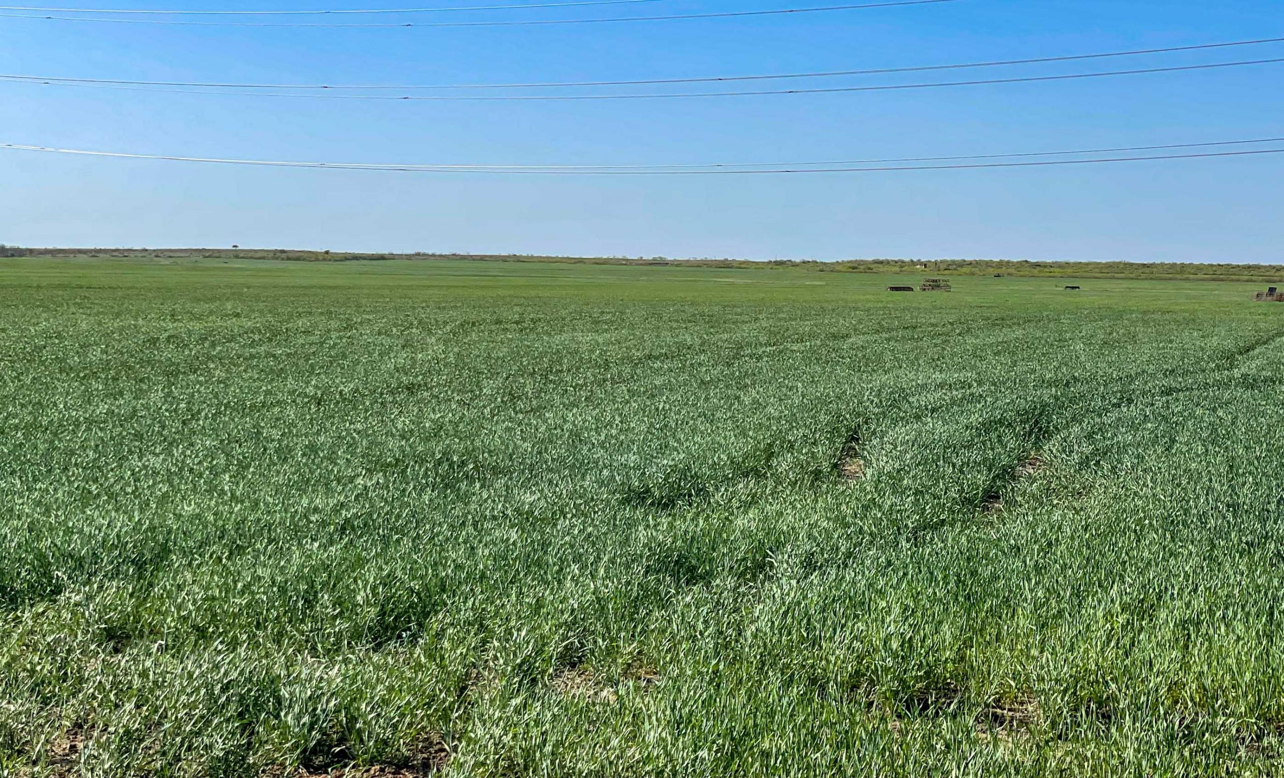 Judd Ranch | Chas S. Middleton