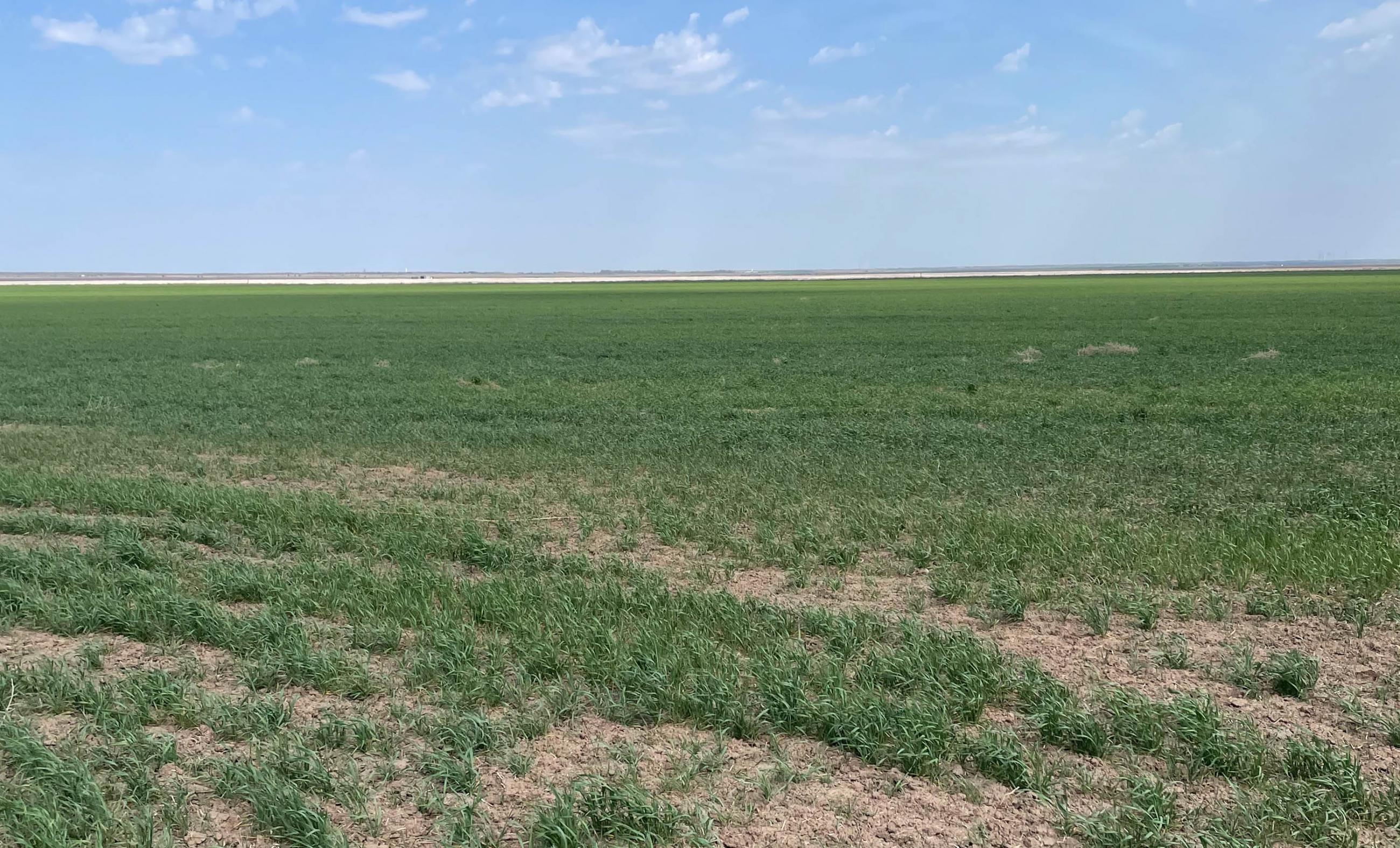 Judd Ranch | Chas S. Middleton