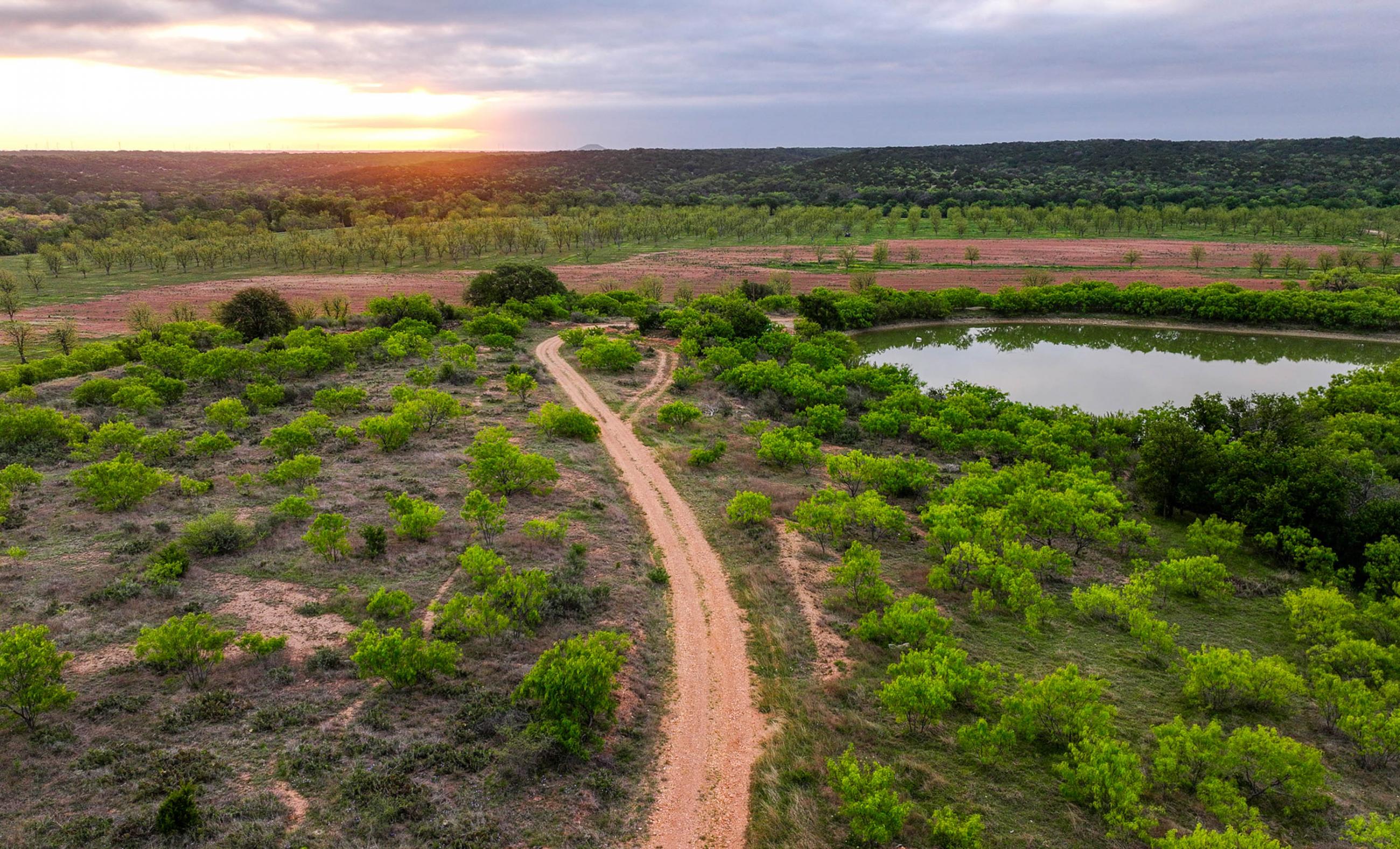 Big Valley Pecan Farm | Goldthwaite, TX | Chas. S. Middleton