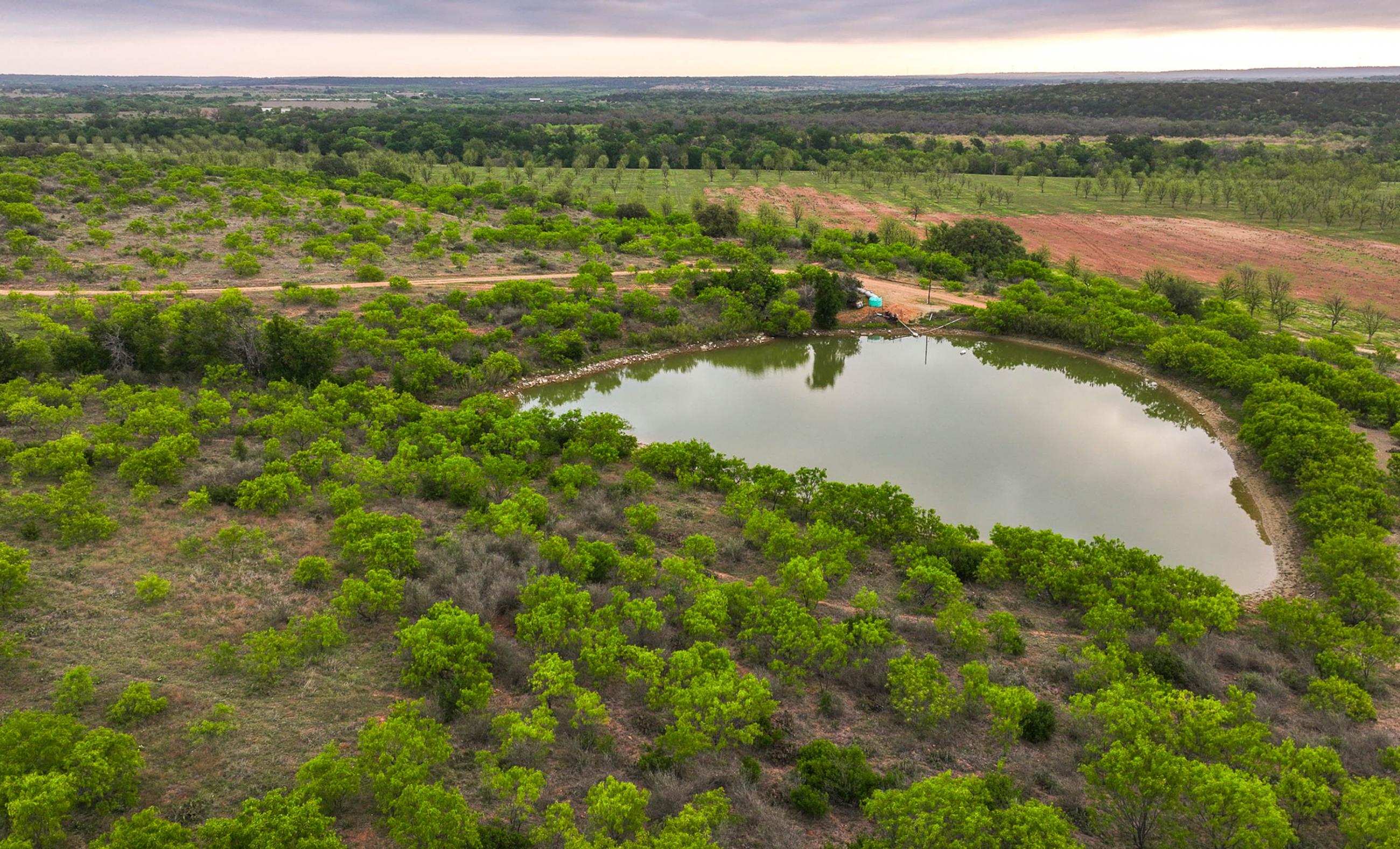 Big Valley Pecan Farm | Goldthwaite, TX | Chas. S. Middleton