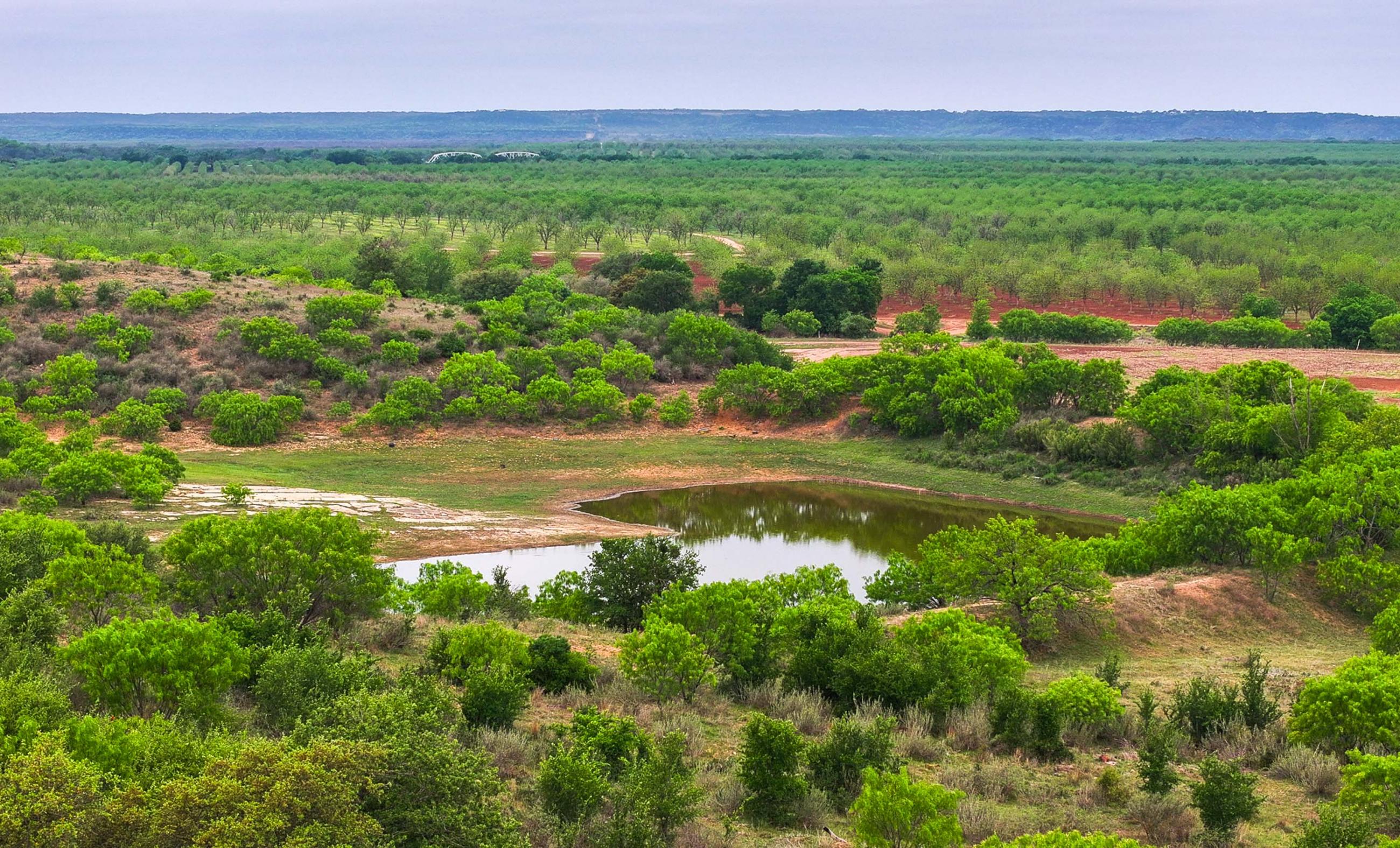 Big Valley Pecan Farm | Goldthwaite, TX | Chas. S. Middleton