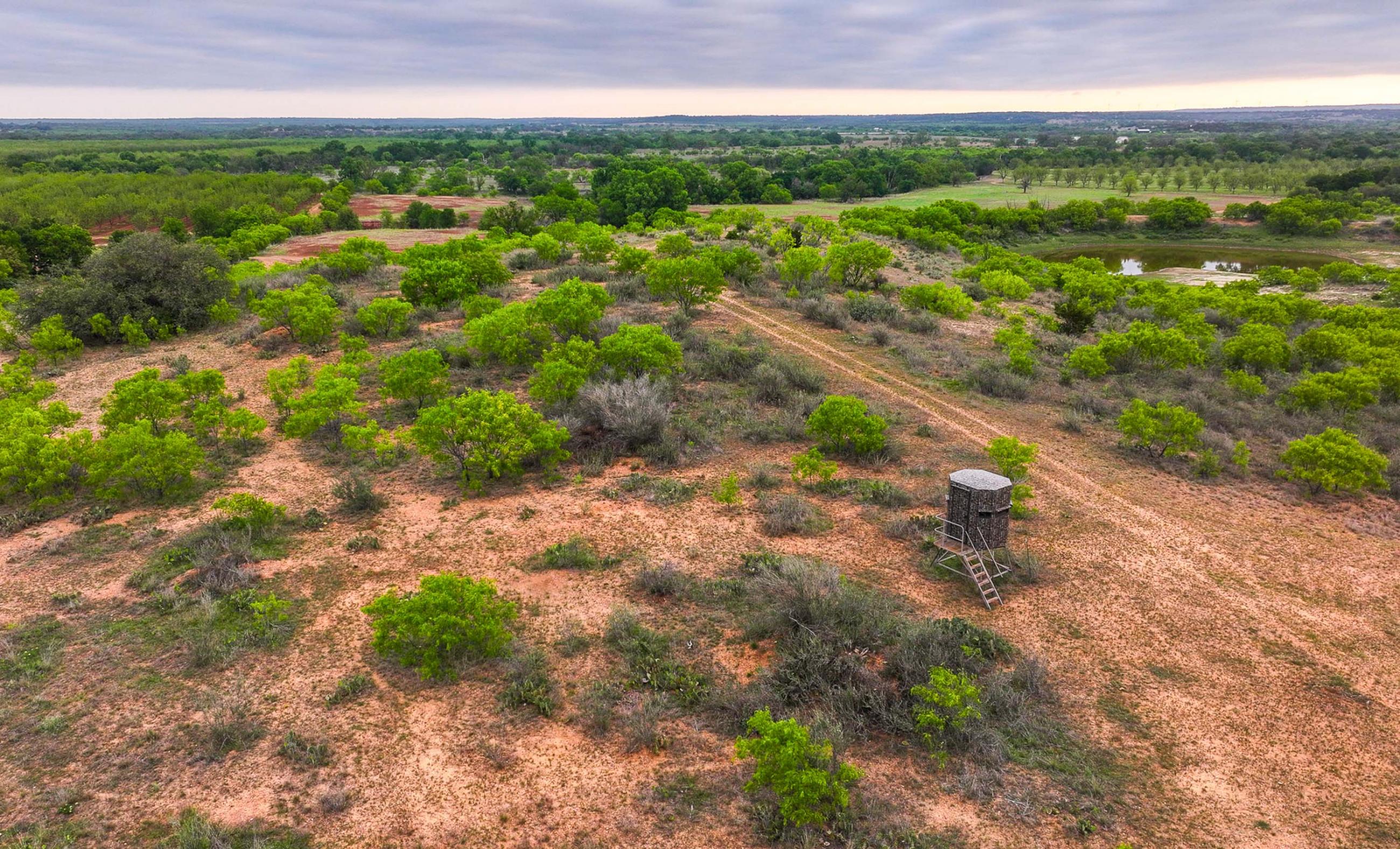 Big Valley Pecan Farm | Goldthwaite, TX | Chas. S. Middleton