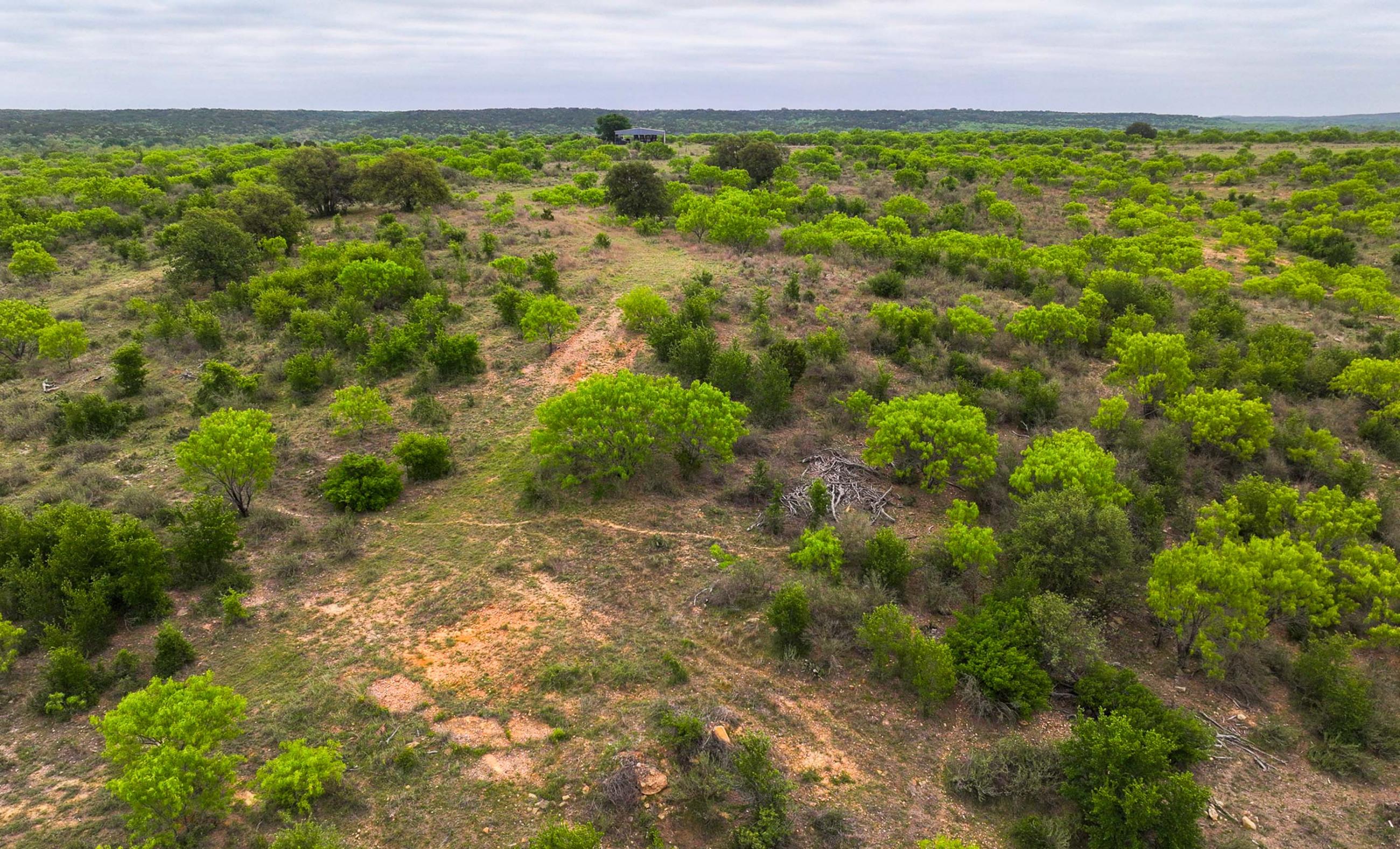 Big Valley Pecan Farm | Goldthwaite, TX | Chas. S. Middleton
