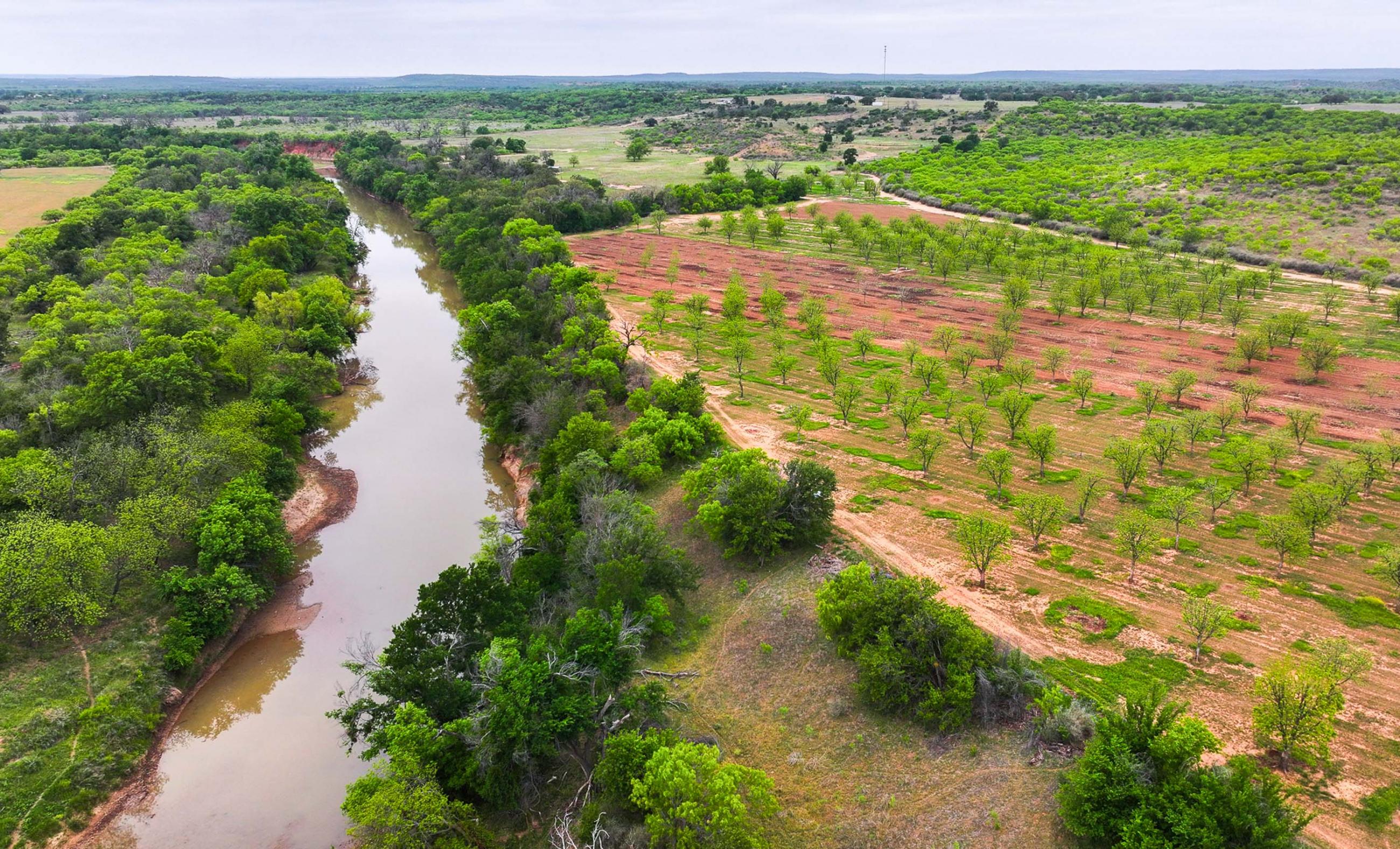 Big Valley Pecan Farm | Goldthwaite, TX | Chas. S. Middleton