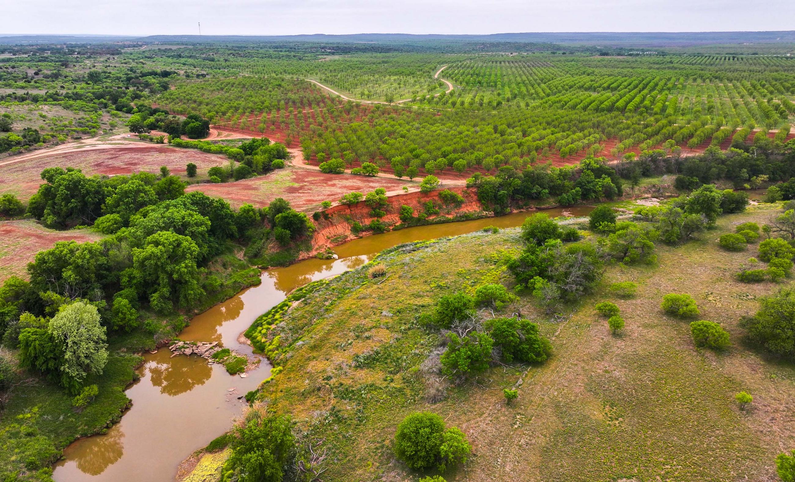Big Valley Pecan Farm | Goldthwaite, TX | Chas. S. Middleton