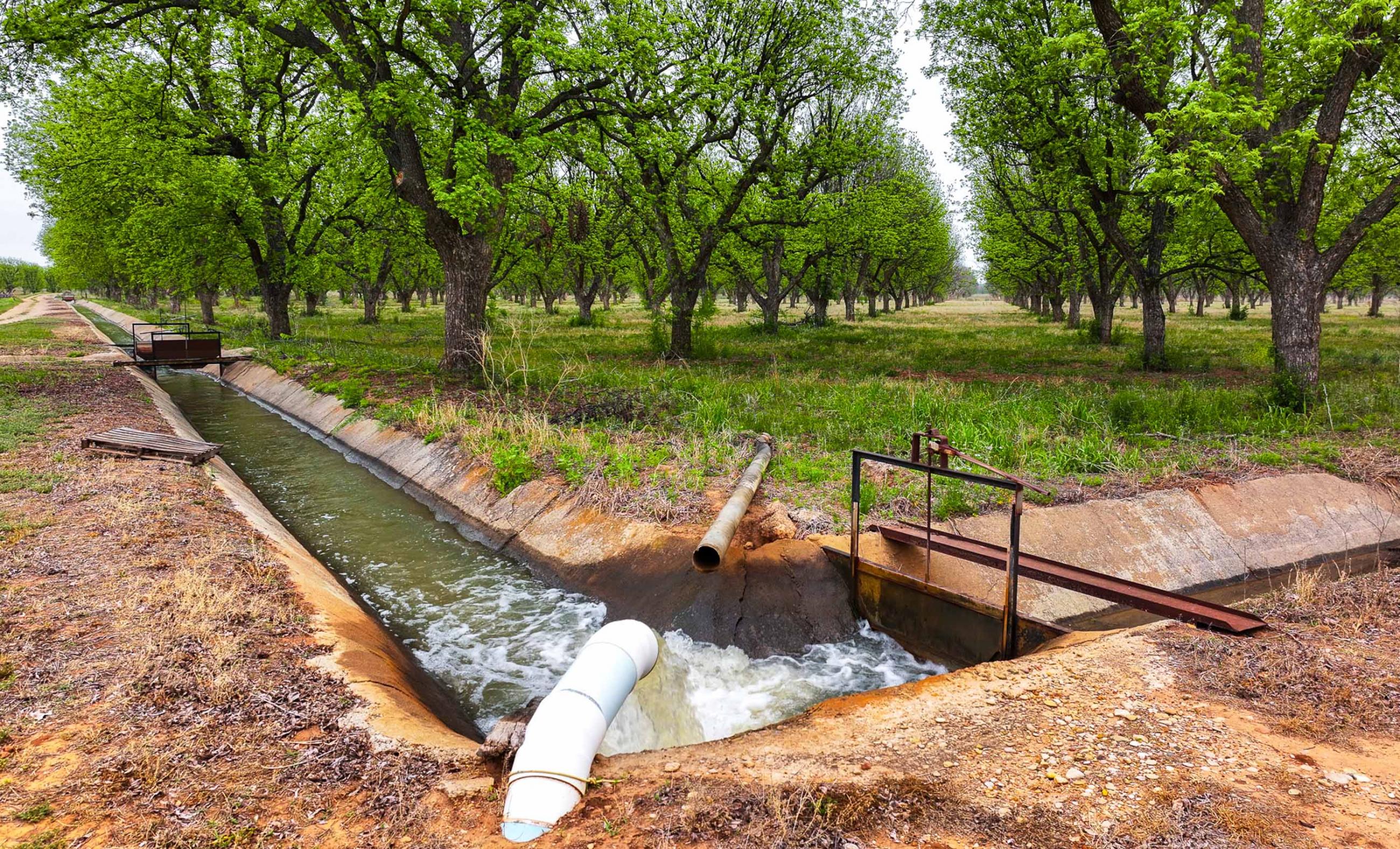 Big Valley Pecan Farm | Goldthwaite, TX | Chas. S. Middleton