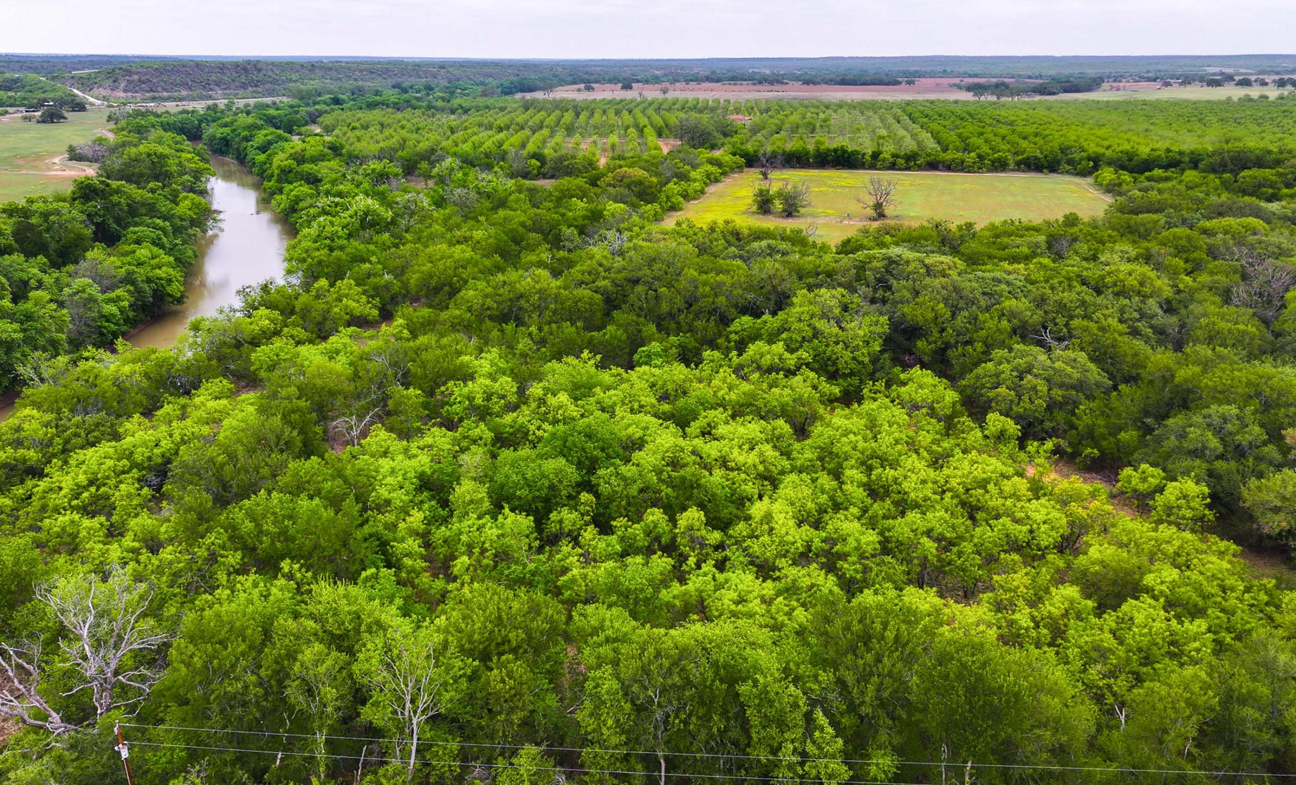 Big Valley Pecan Farm | Goldthwaite, TX | Chas. S. Middleton