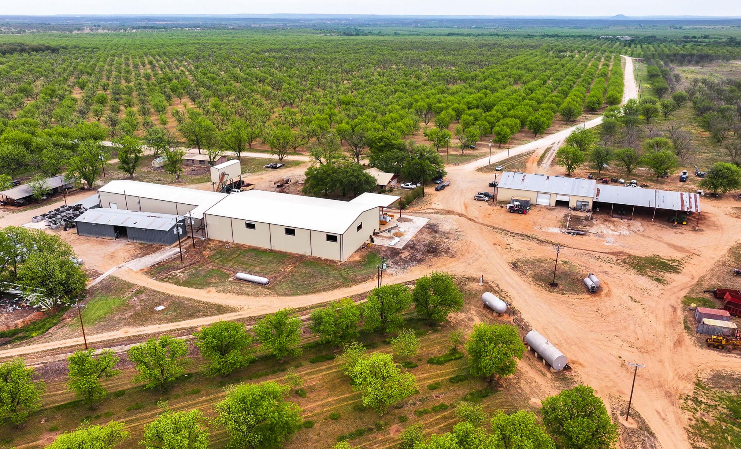 Big Valley Pecan Farm | Goldthwaite, TX | Chas. S. Middleton